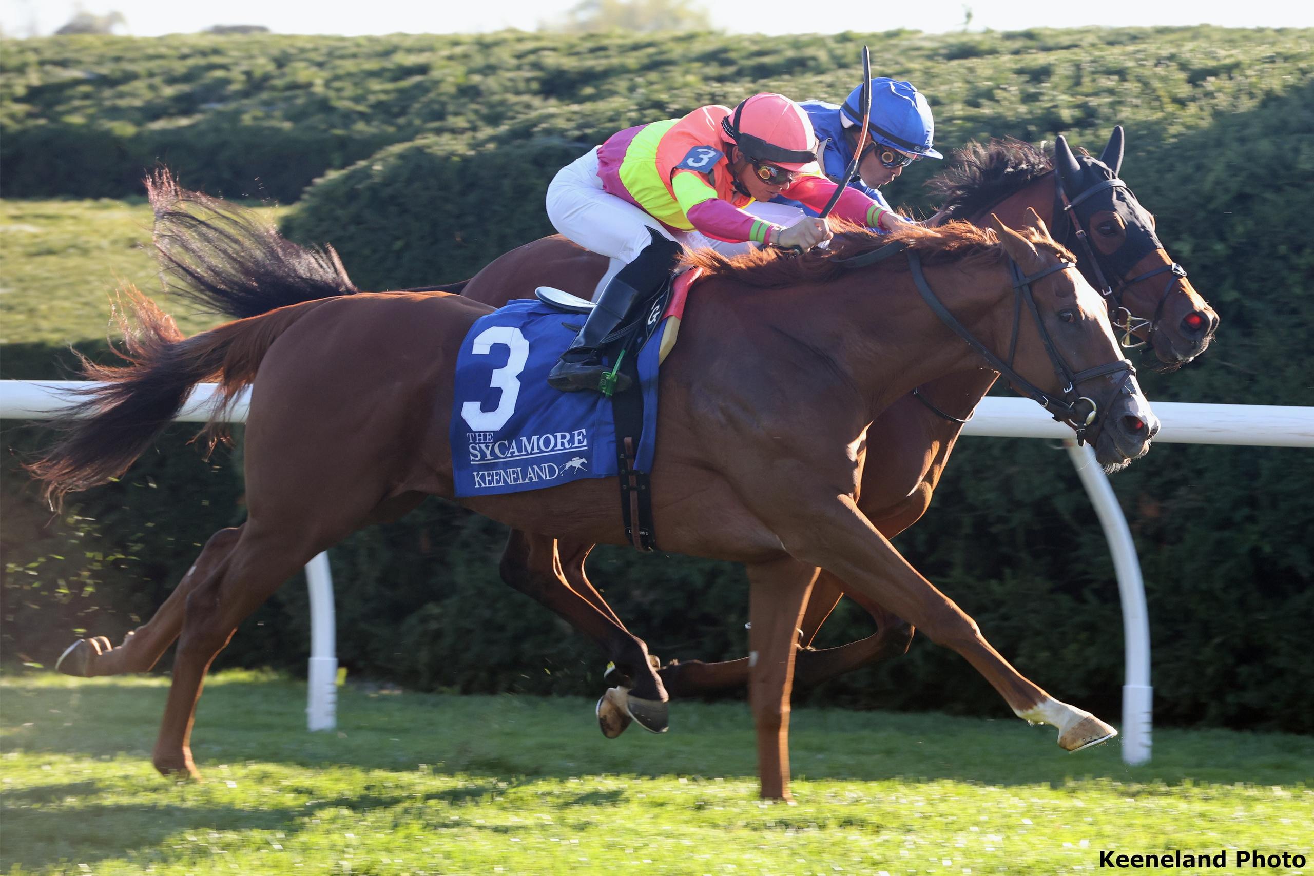 Highway Robber Steals G3 Sycamore, Sets Course Record - Past The Wire