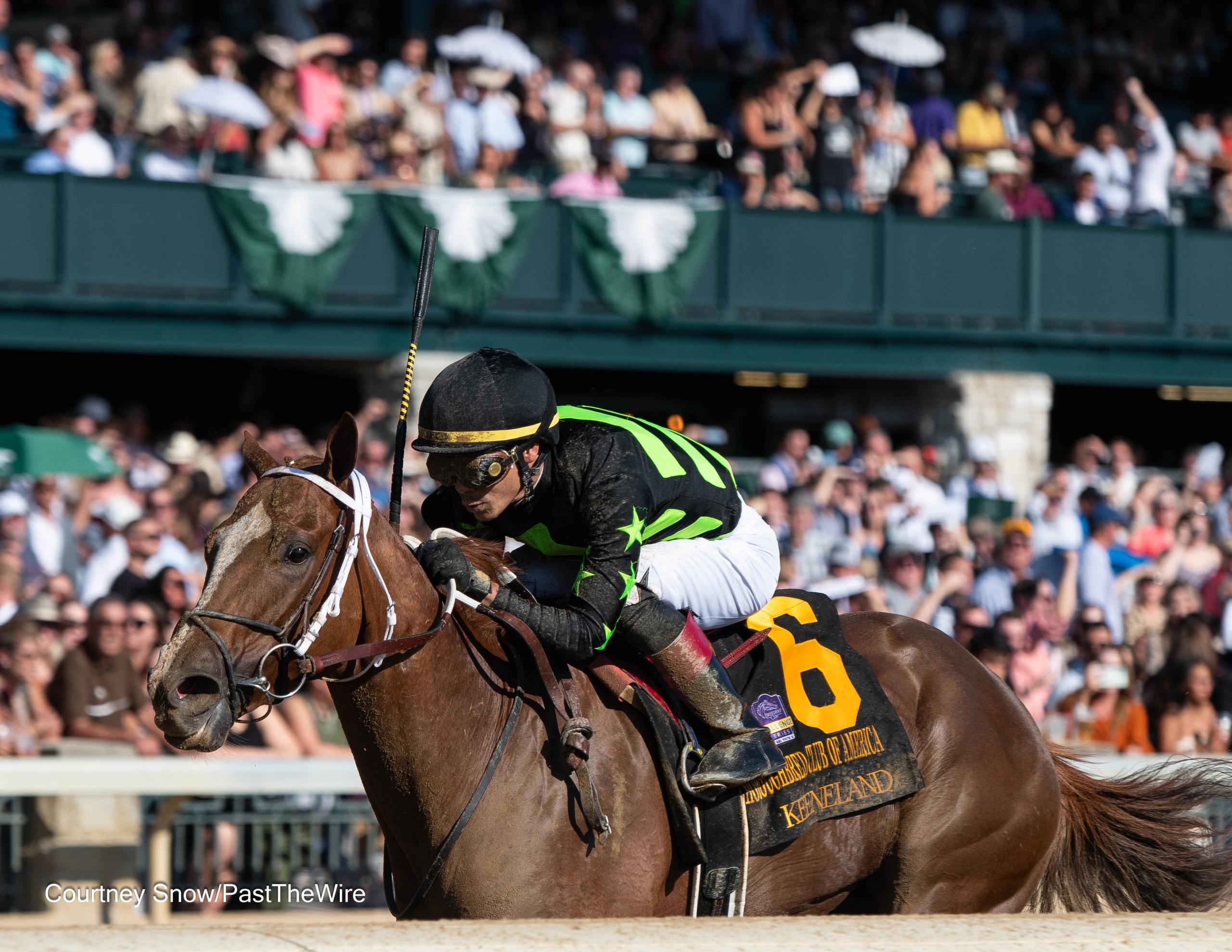 Zeitlos Rail Trip in Thoroughbred Club of America - Past The Wire