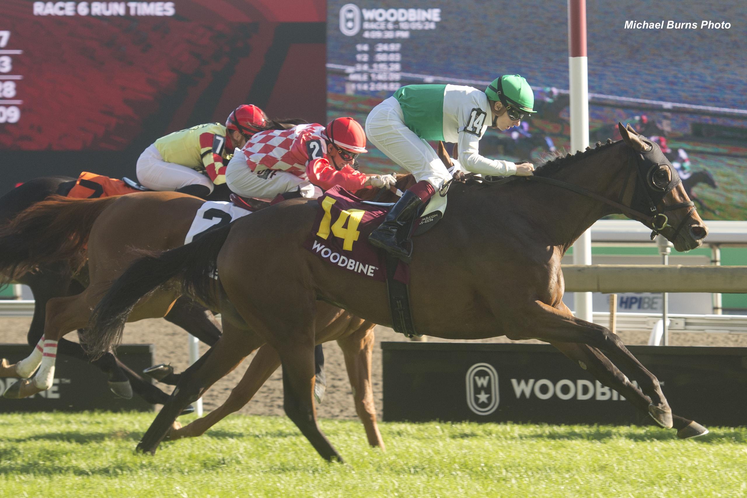 Truly Quality Seriously Impresses in HPIbet Singspiel - Past The Wire