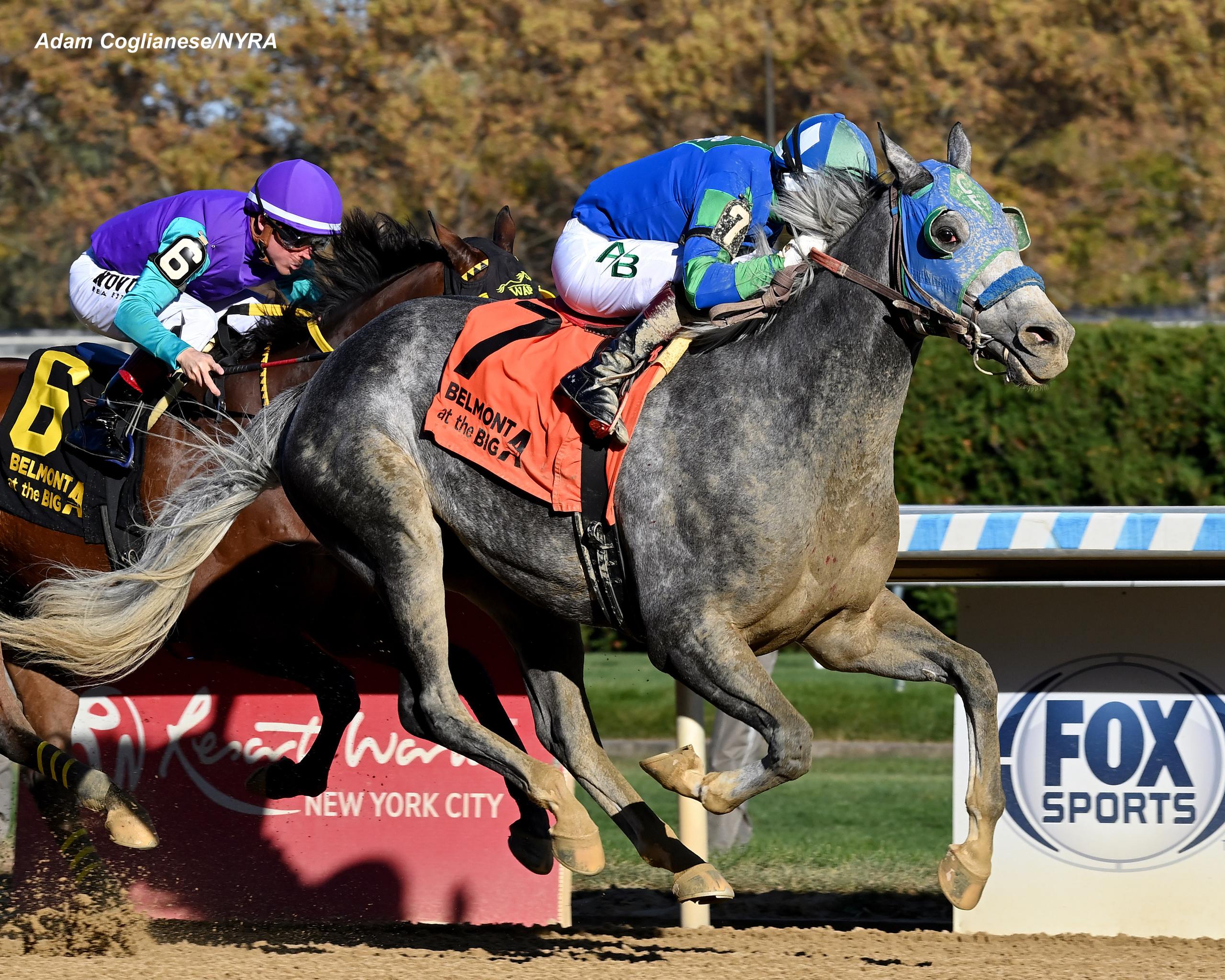 Coastal Mission Cruises in G3 Forty Niner - Past The Wire