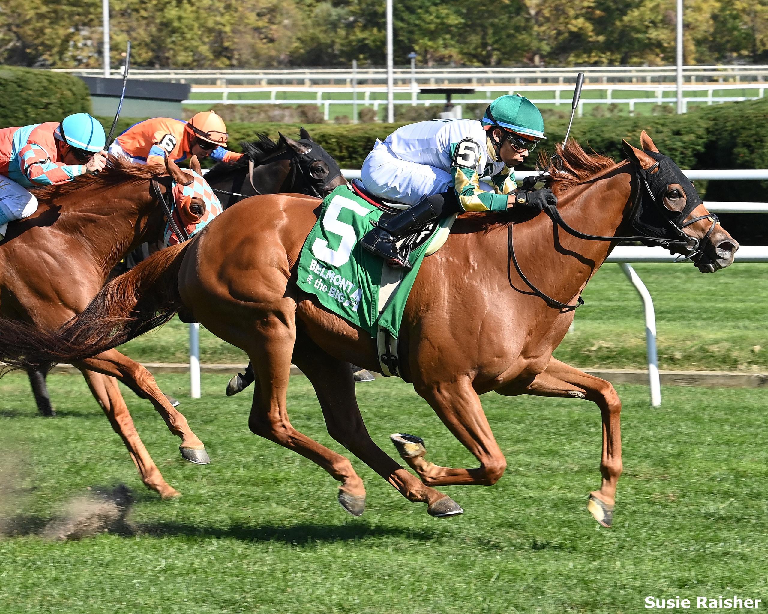 Senbei Surges to Victory in G3 Belmont Turf Sprint - Past The Wire