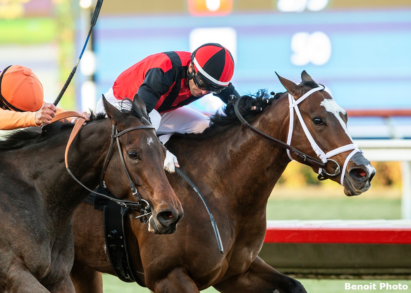 Tamara Second Best in Return to Undefeated Sandy Bottom - Past The Wire