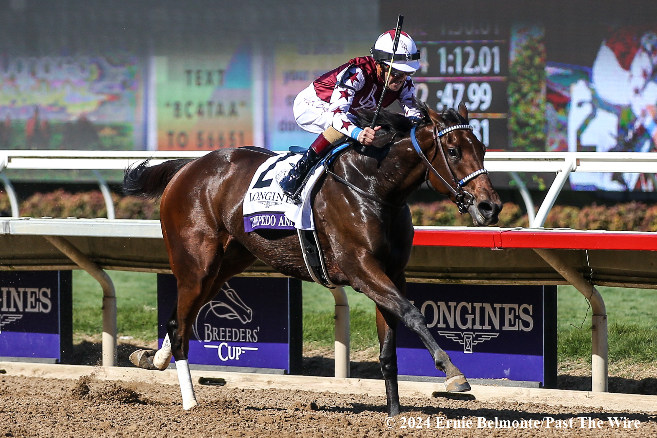 BC ’25: When and How To Watch and Wager - Past The Wire