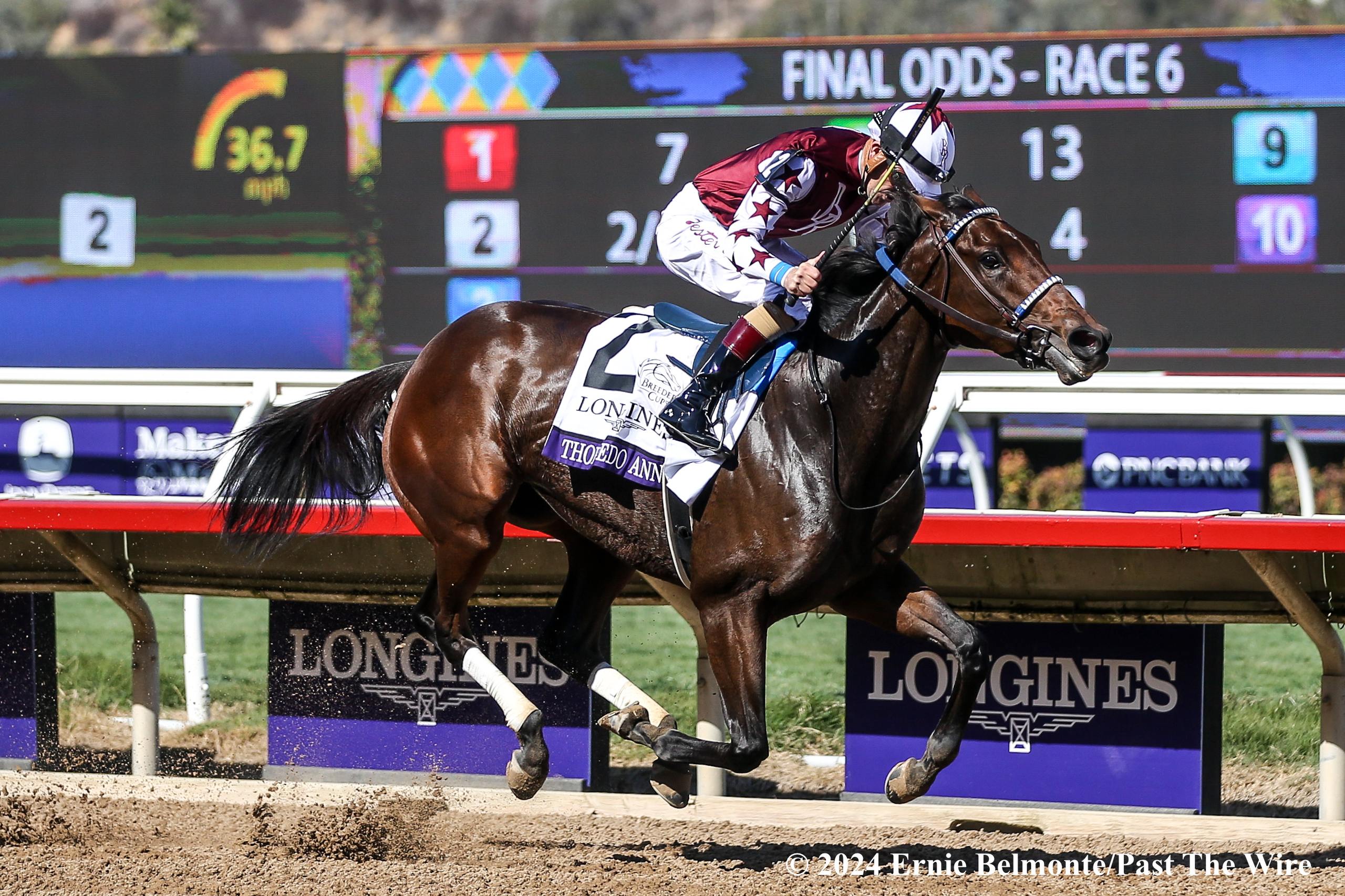 Azeri and Apple Blossom Possibilities for Thorpedo Anna - Past The Wire