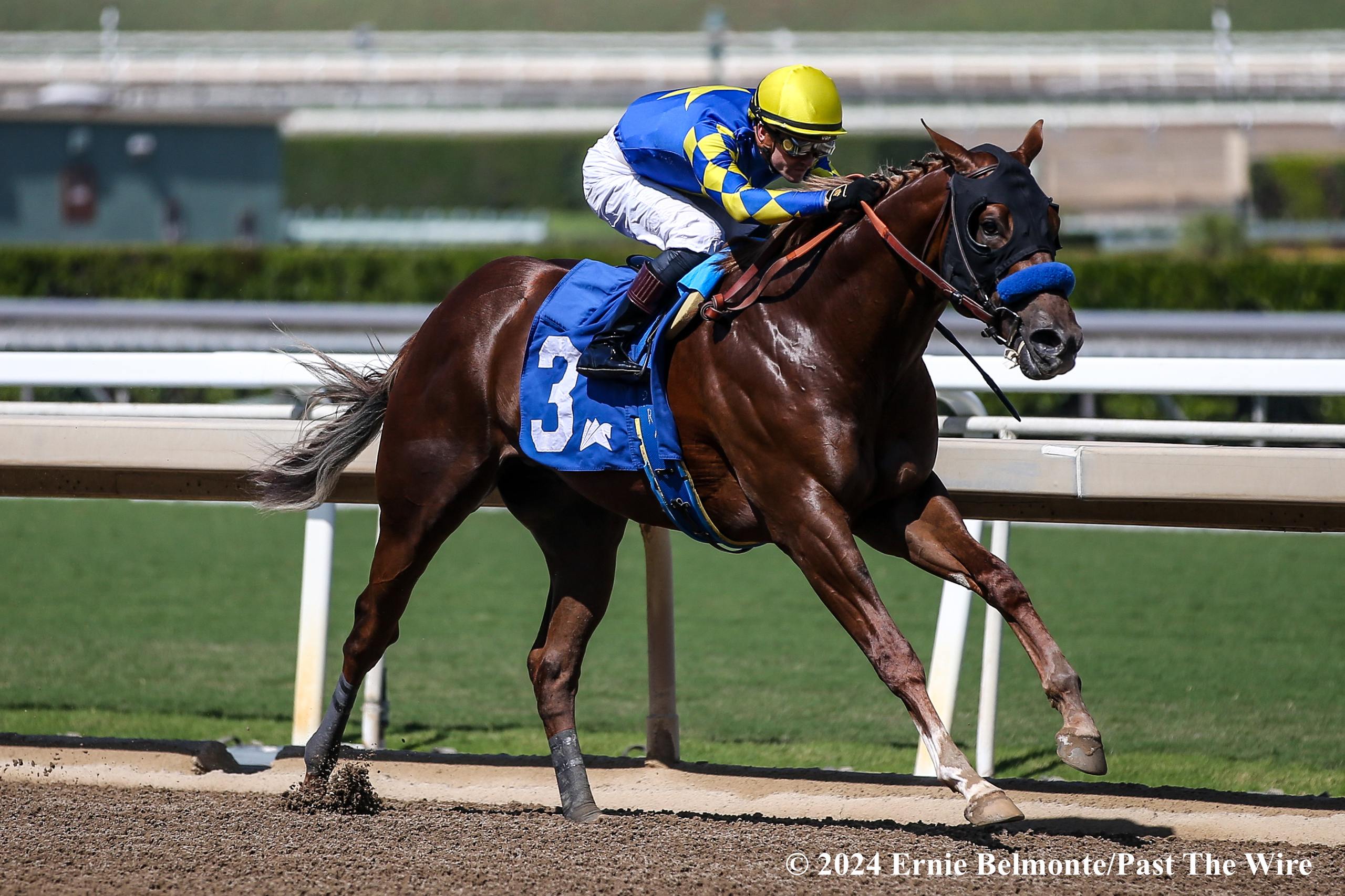 Six Colts Will Do Battle in G3 Bob Hope - Past The Wire