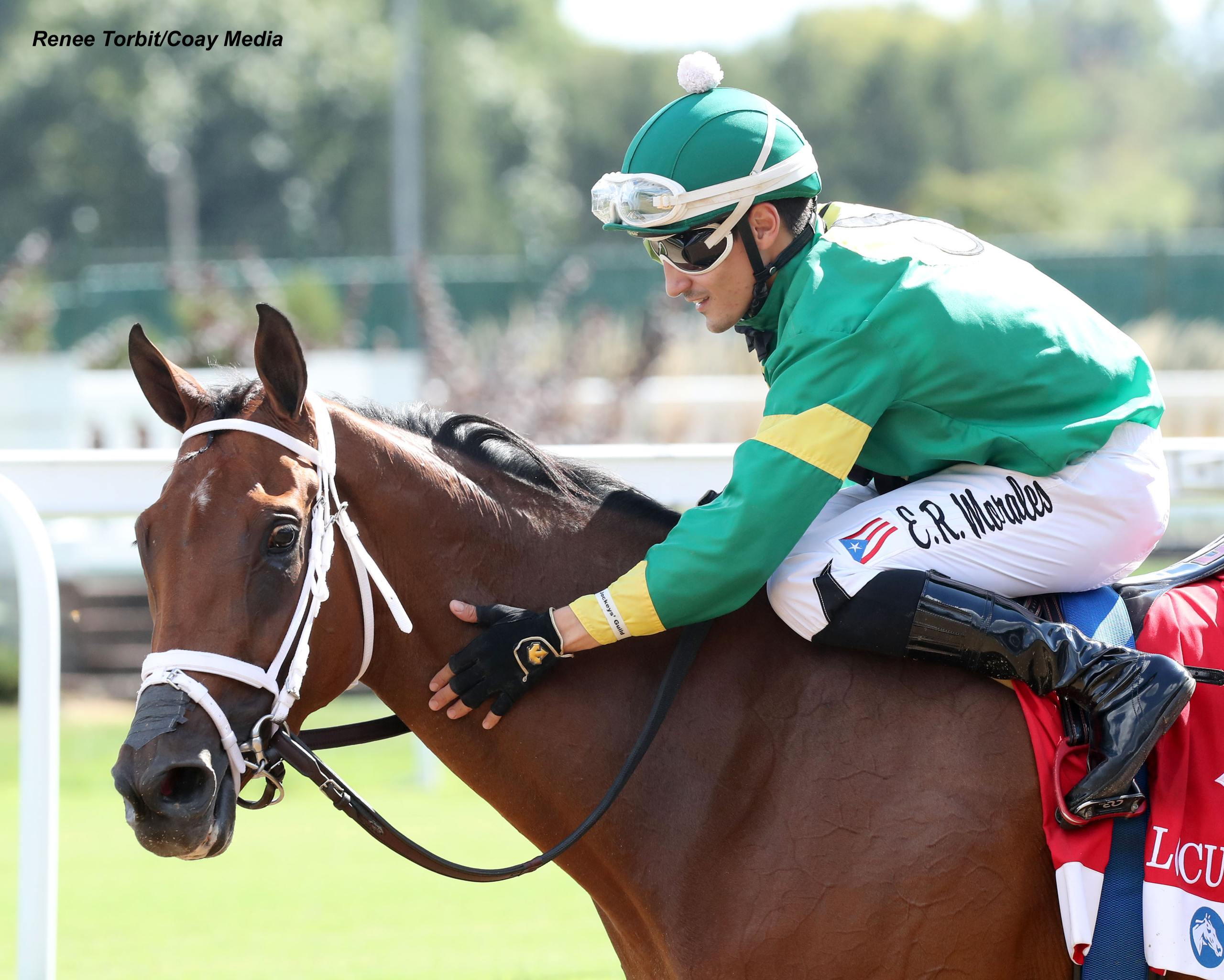 Musical Mischief Eyes Falls City Glory - Past The Wire