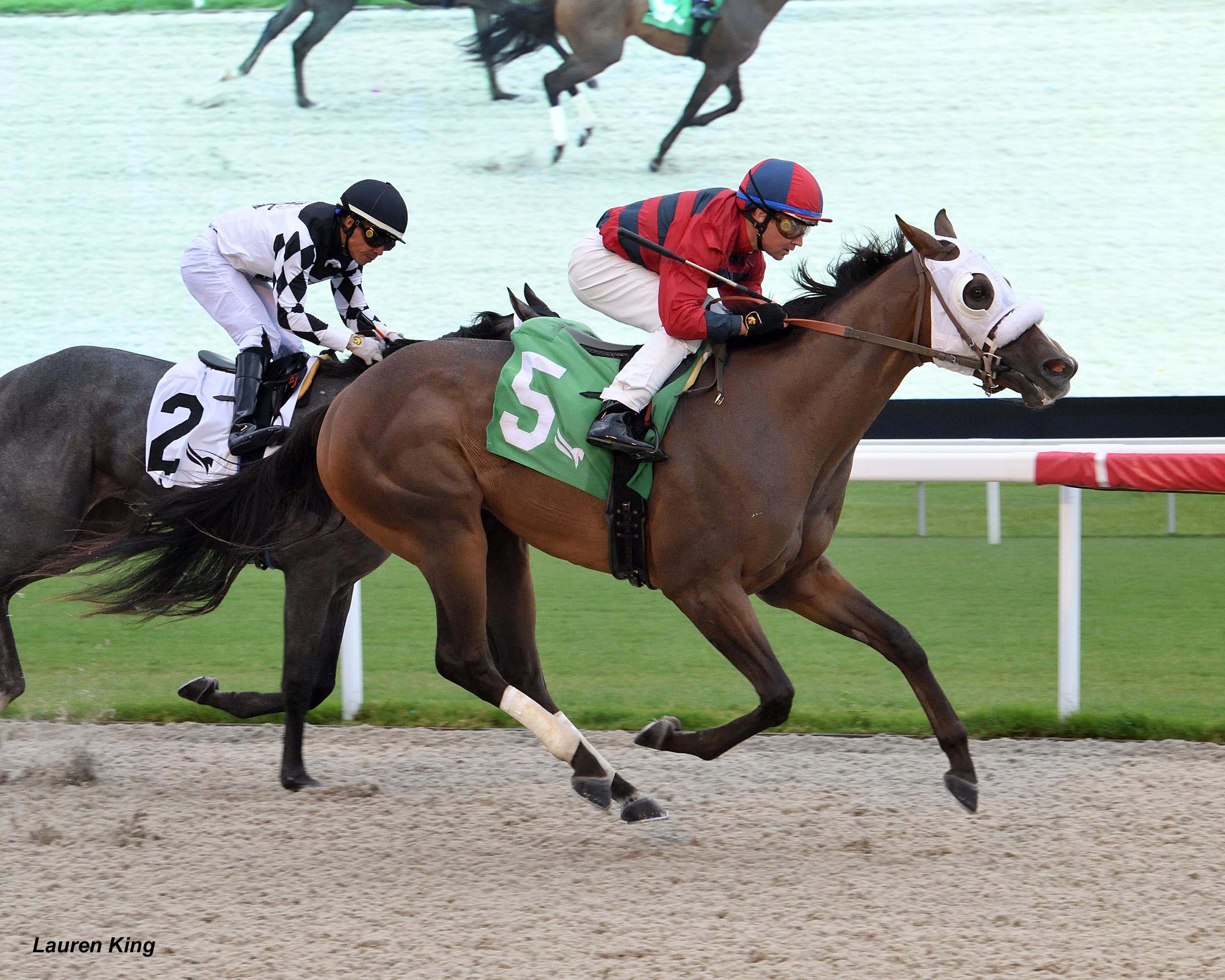 Undefeated Most Handsome Set for Dirt Debut - Past The Wire