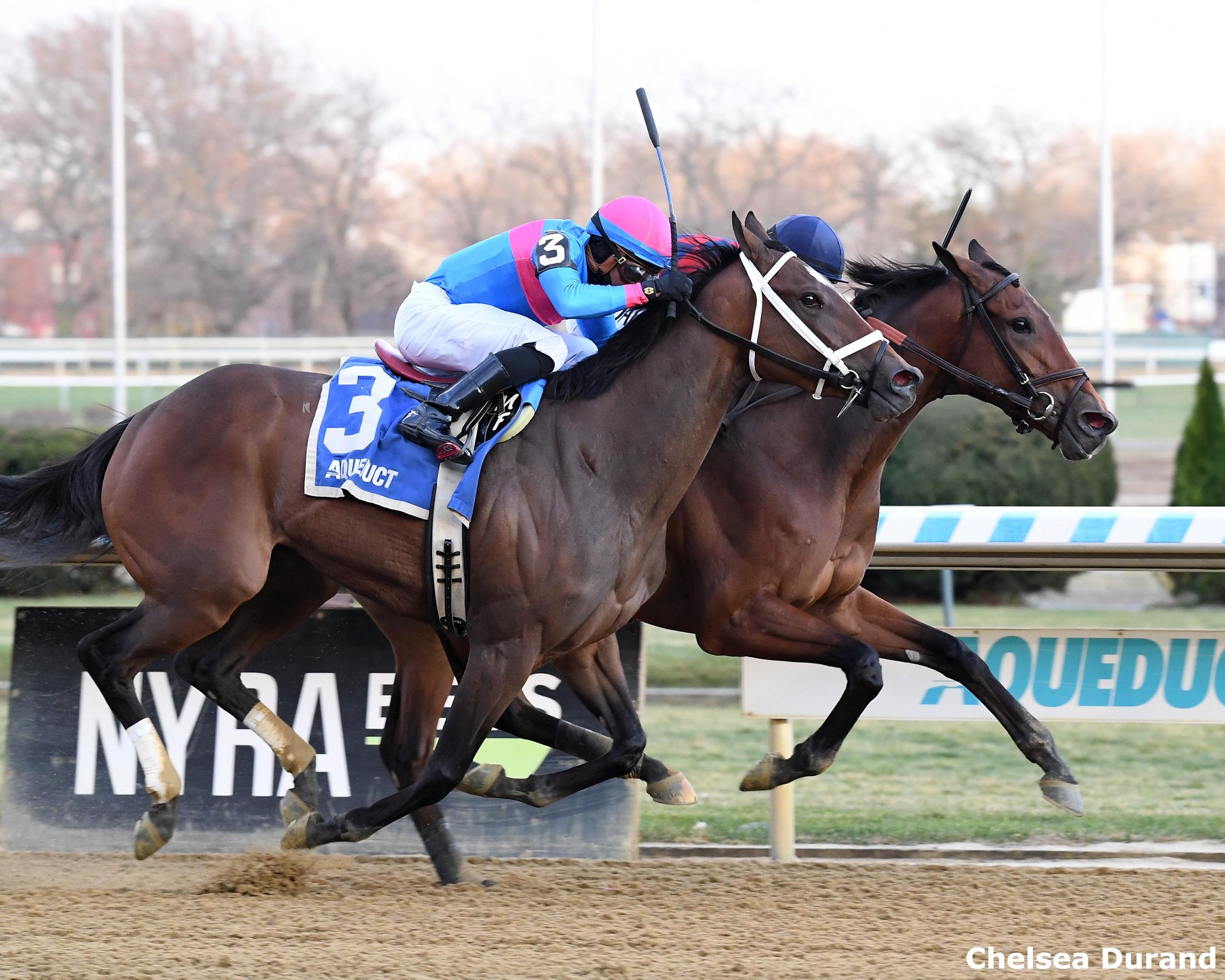 Pretty Ana Digs in for Victory in G3 Comely - Past The Wire