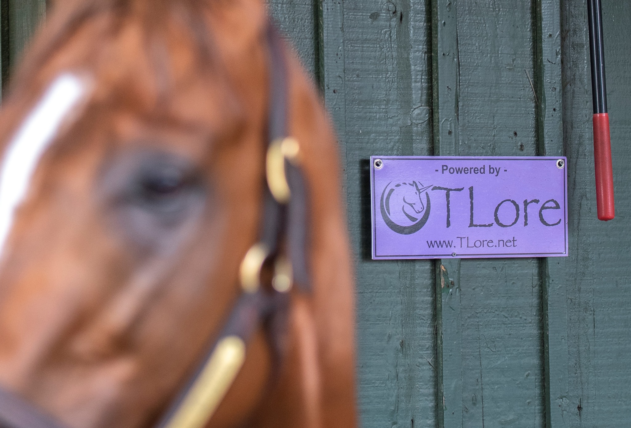 TJC Innovations Releases TLore Owner App - Past The Wire