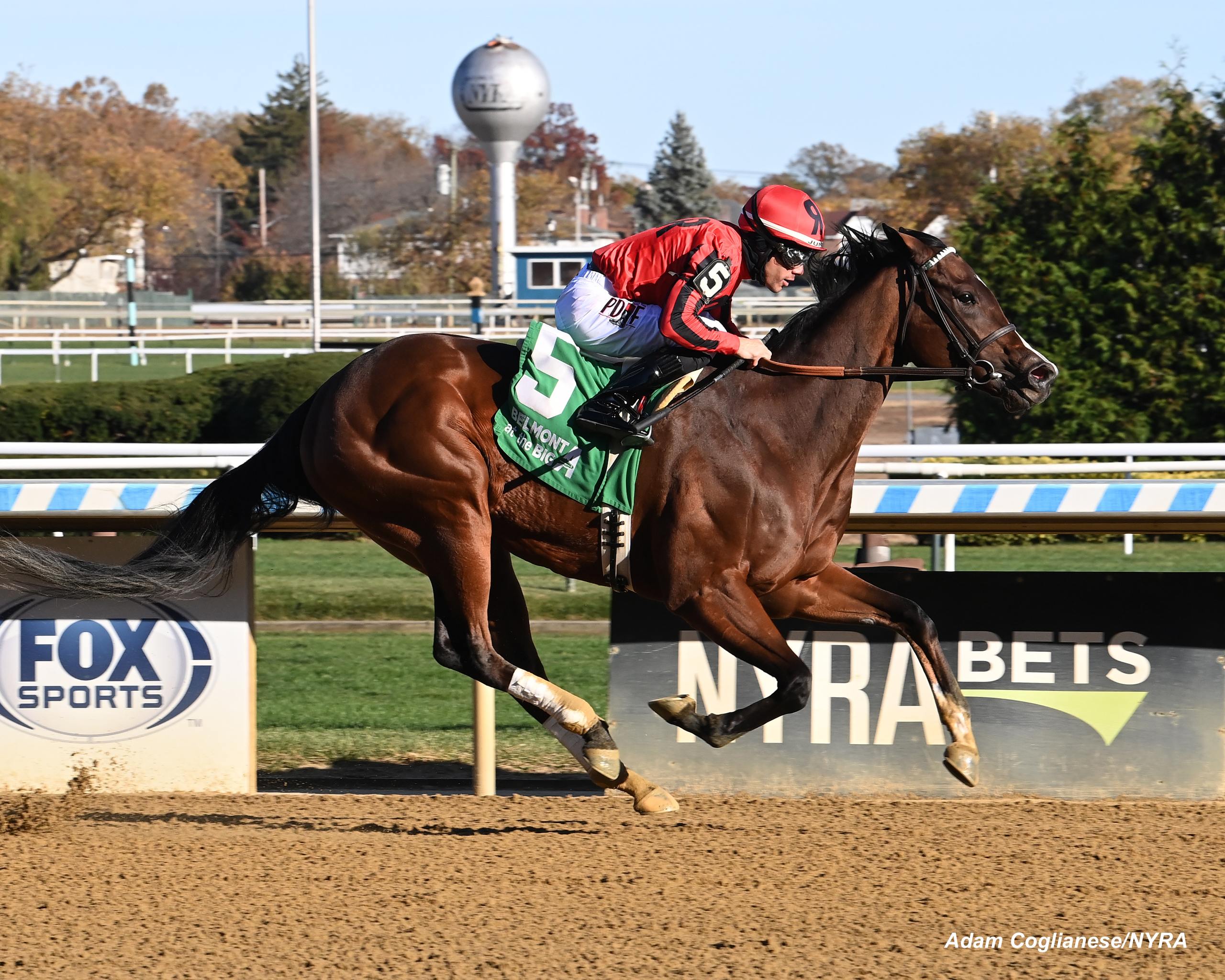 Nic’s Style Sweet Success in Pumpkin Pie - Past The Wire