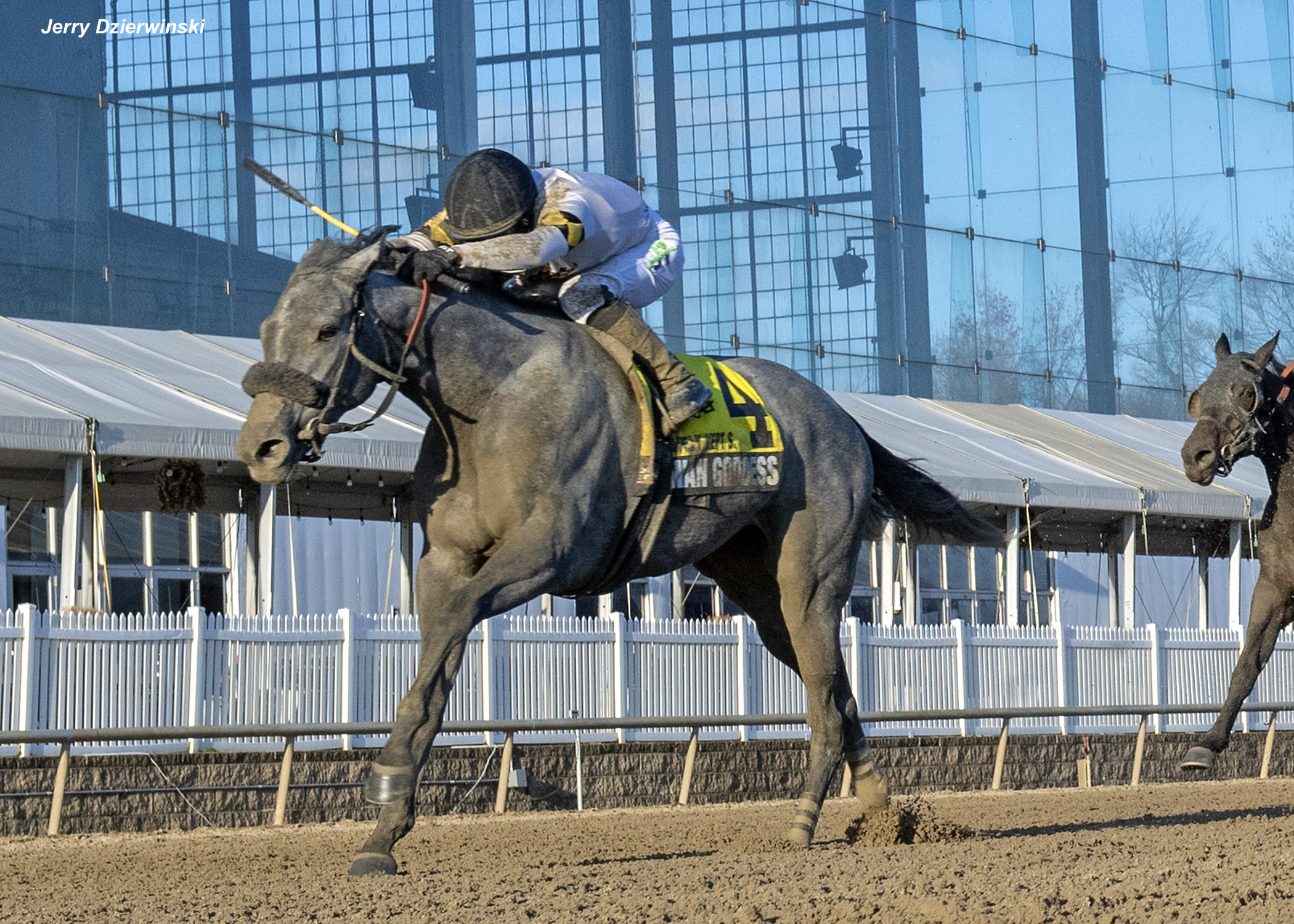 Roanan Goddess Powers in Safely Kept - Past The Wire