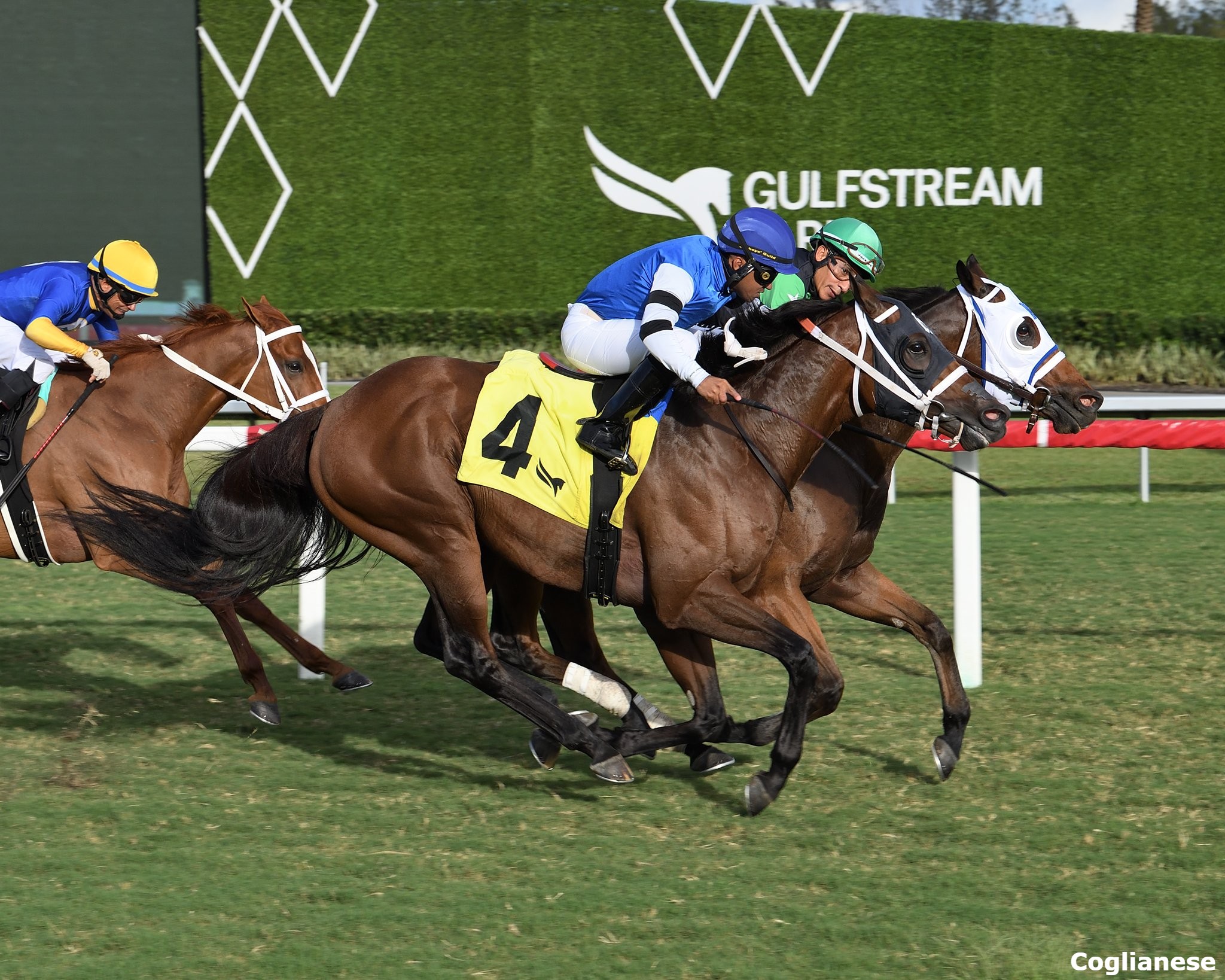 Turf Racing Resumes Friday at Gulfstream Park - Past The Wire