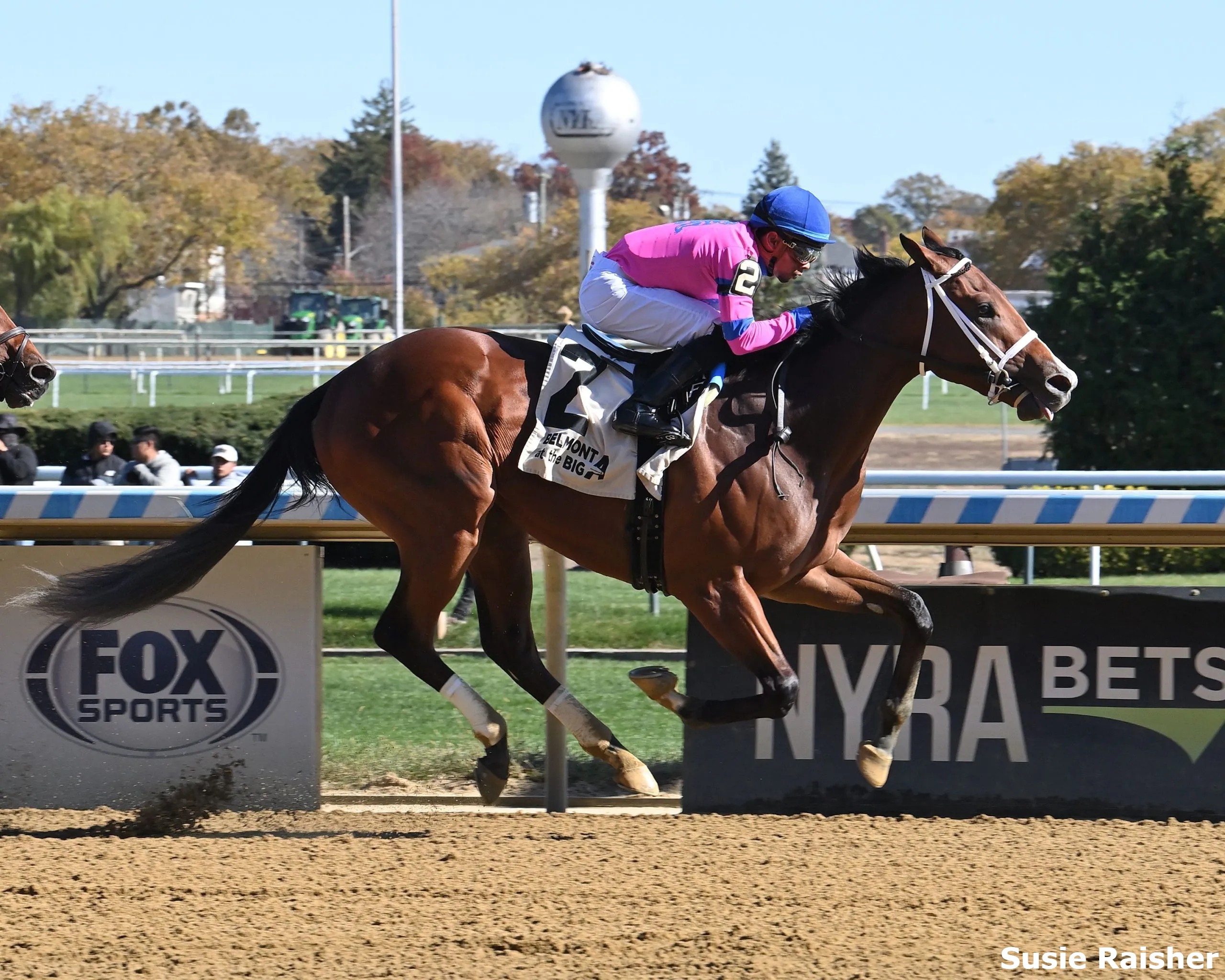 Charles and Race Lens NY Stallion Series - Past The Wire