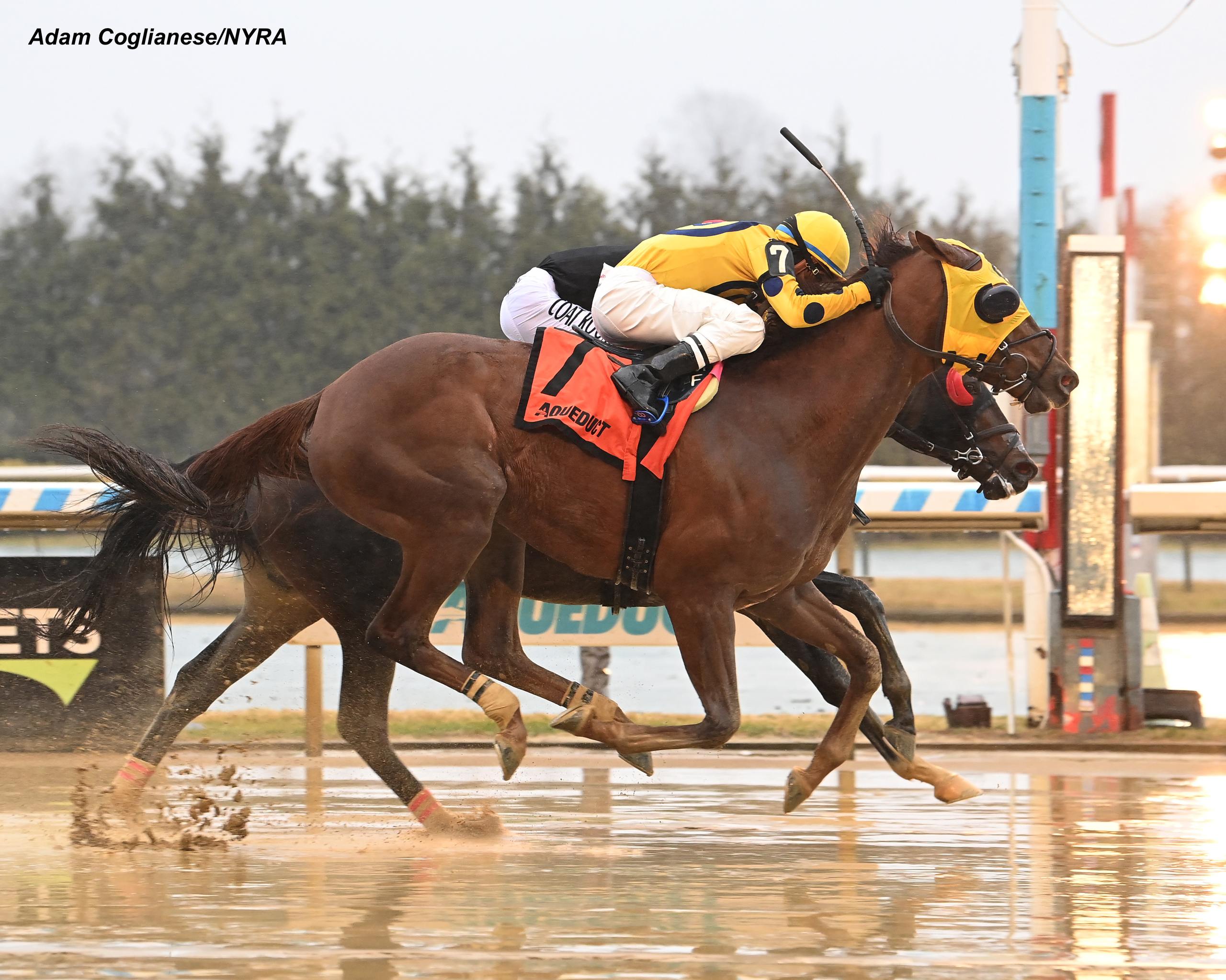 Bank Frenzy Goes Nose Up in Alex M. Robb - Past The Wire