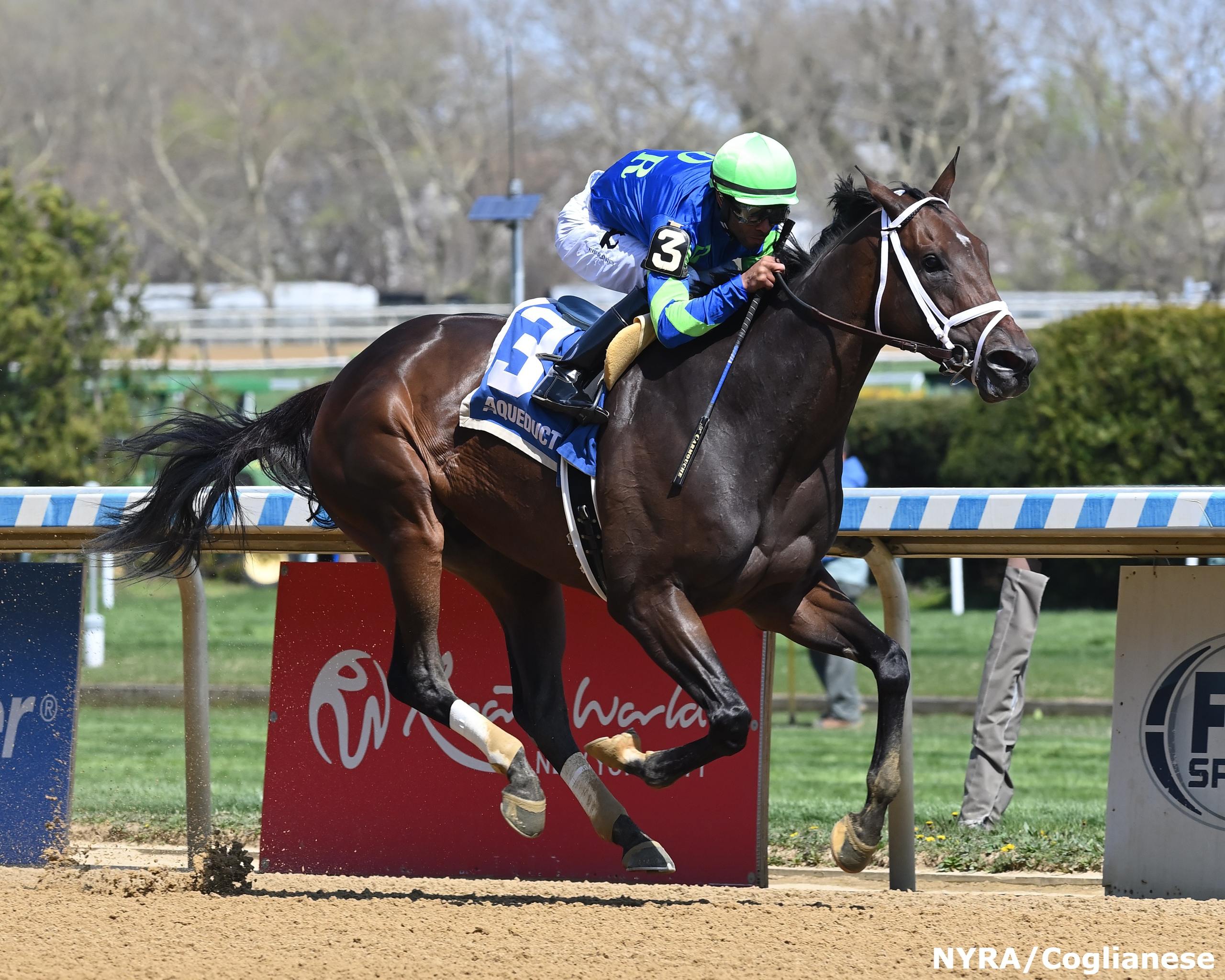 Tizzy in the Sky Returns in G3 Go for Wand - Past The Wire