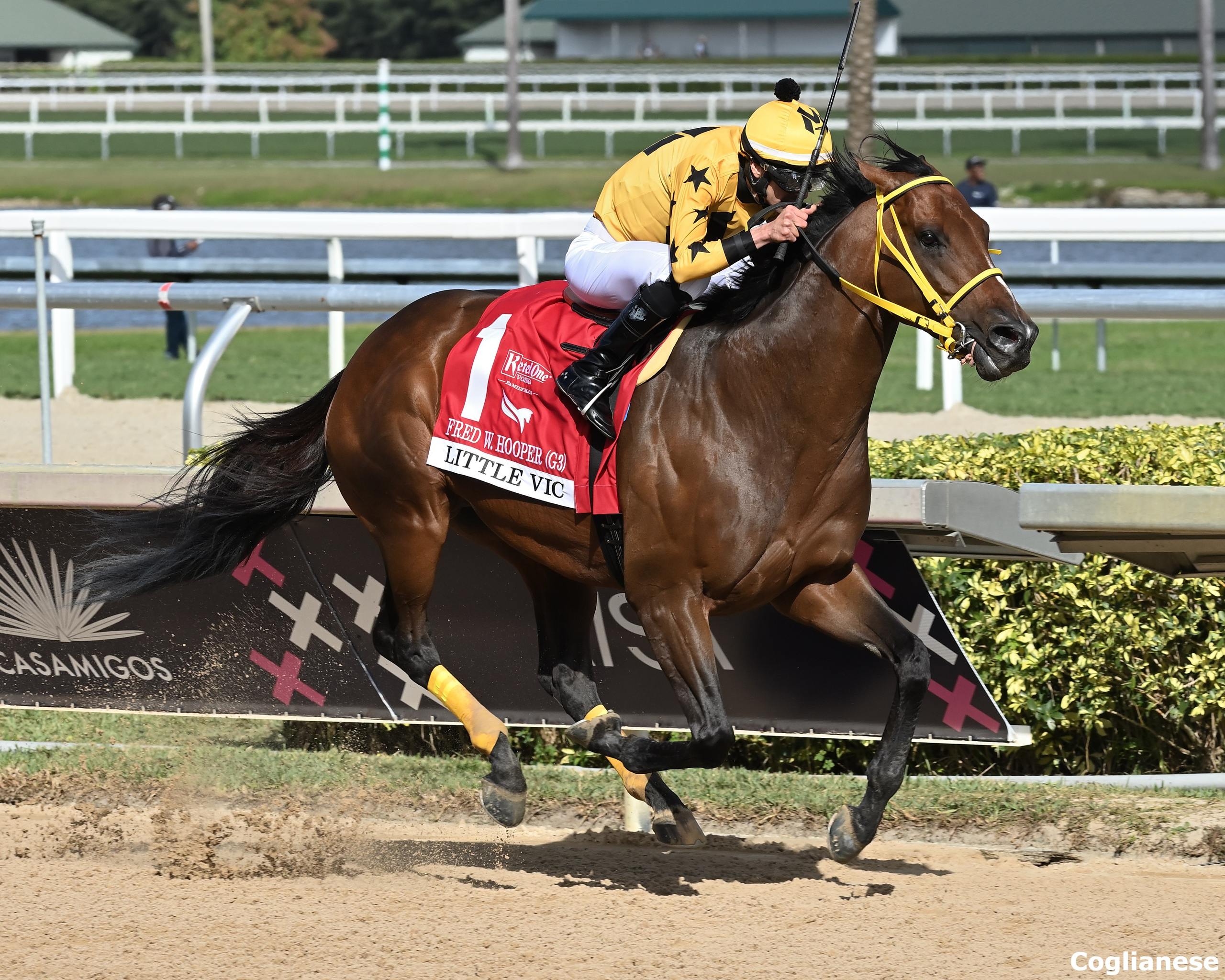 Little Vic Wins Big in G3 Fred W. Hooper - Past The Wire