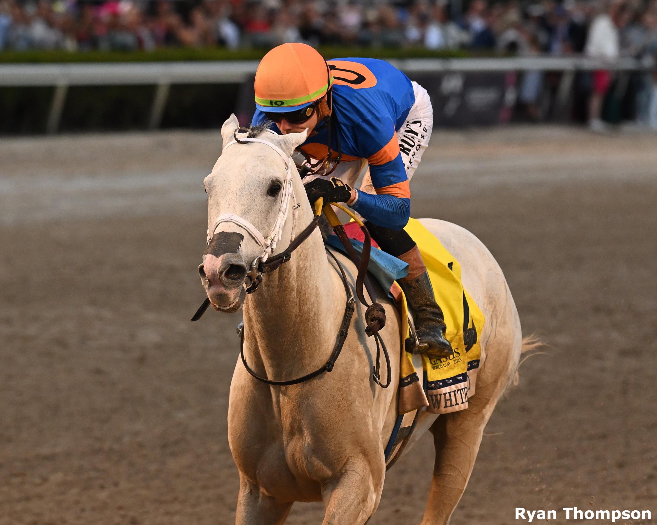 The Pegasus by Thorograph Numbers and Patterns - Past The Wire