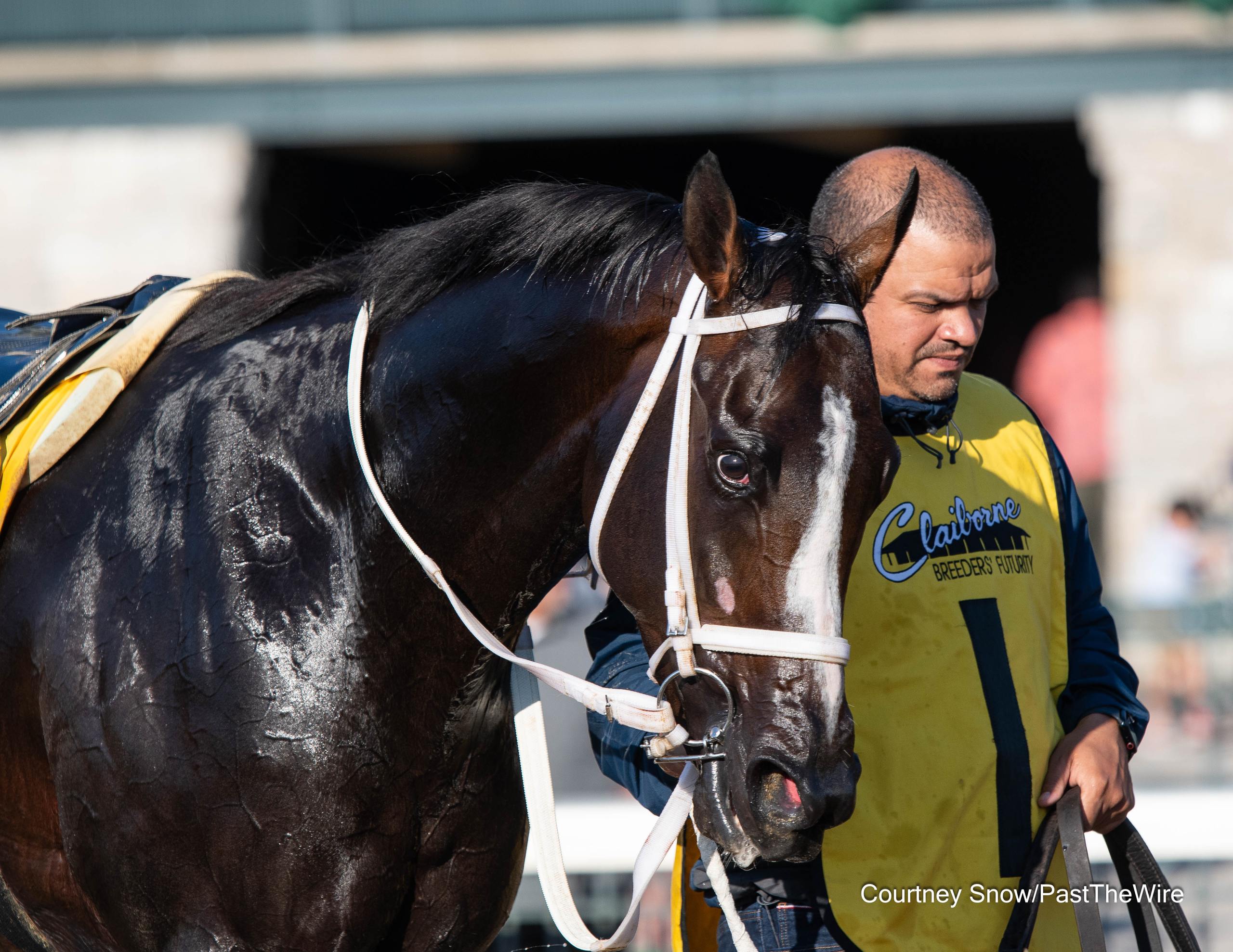 Ferocious Returns in G3 Holy Bull - Past The Wire