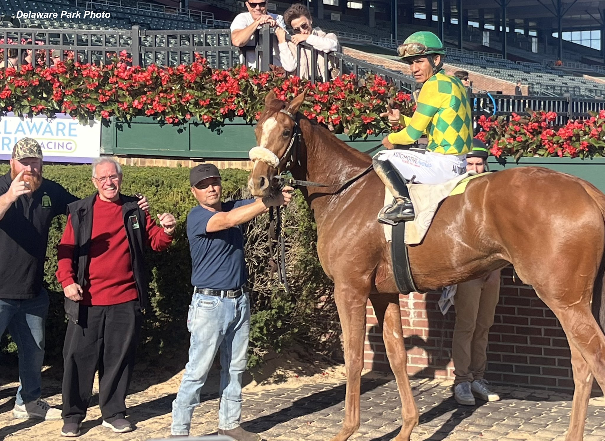 Beautiful Blome Brings Experience To Busanda - Past The Wire