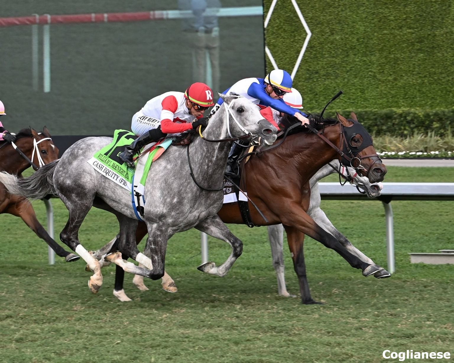 Dashman, Cash Equity Rematch in G2 Mac Diarmida - Past The Wire