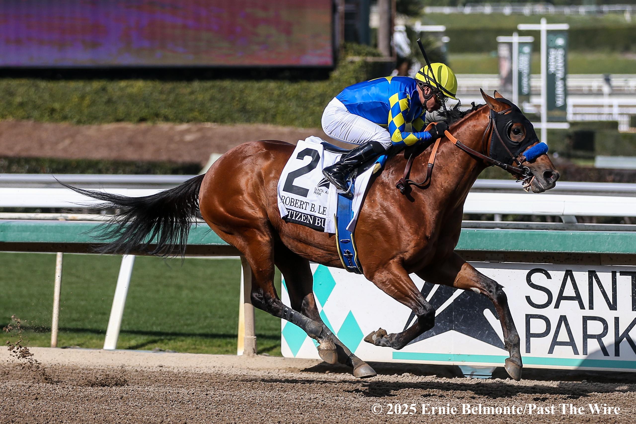 Champion Citizen Bull Returns a Winner in G3 Robert B. Lewis - Past The ...