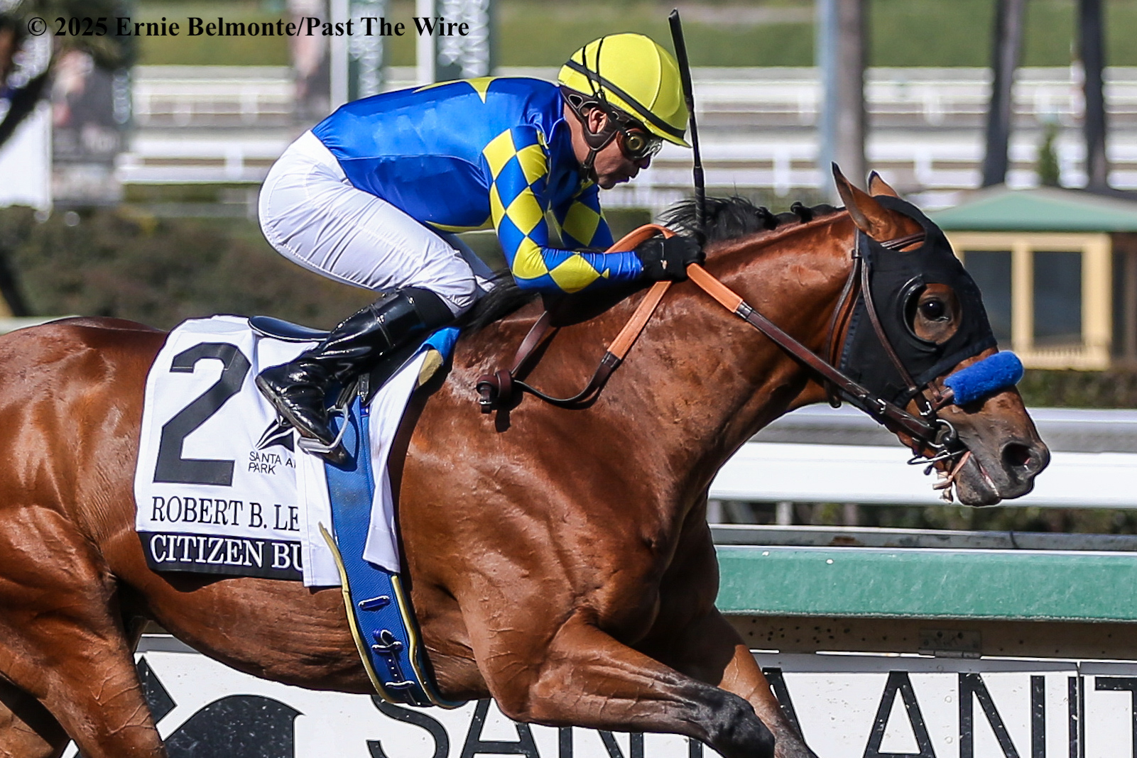 Citizen Bull Tops 3YO Poll - Past The Wire