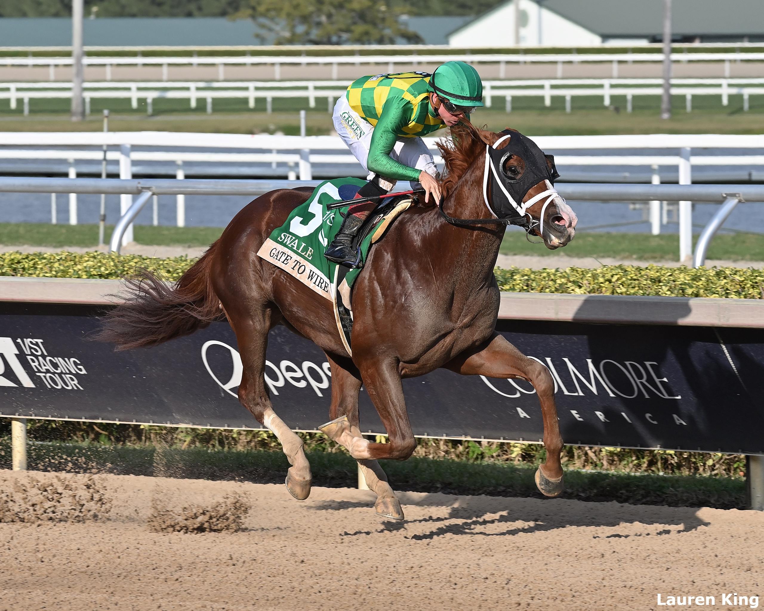 Gate to Wire Takes Swale in Dirt Debut - Past The Wire