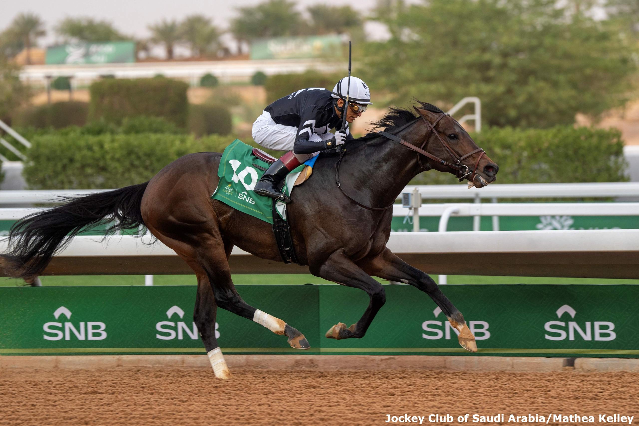 Straight No Chaser Dazzles in G2 Riyadh Dirt Sprint - Past The Wire