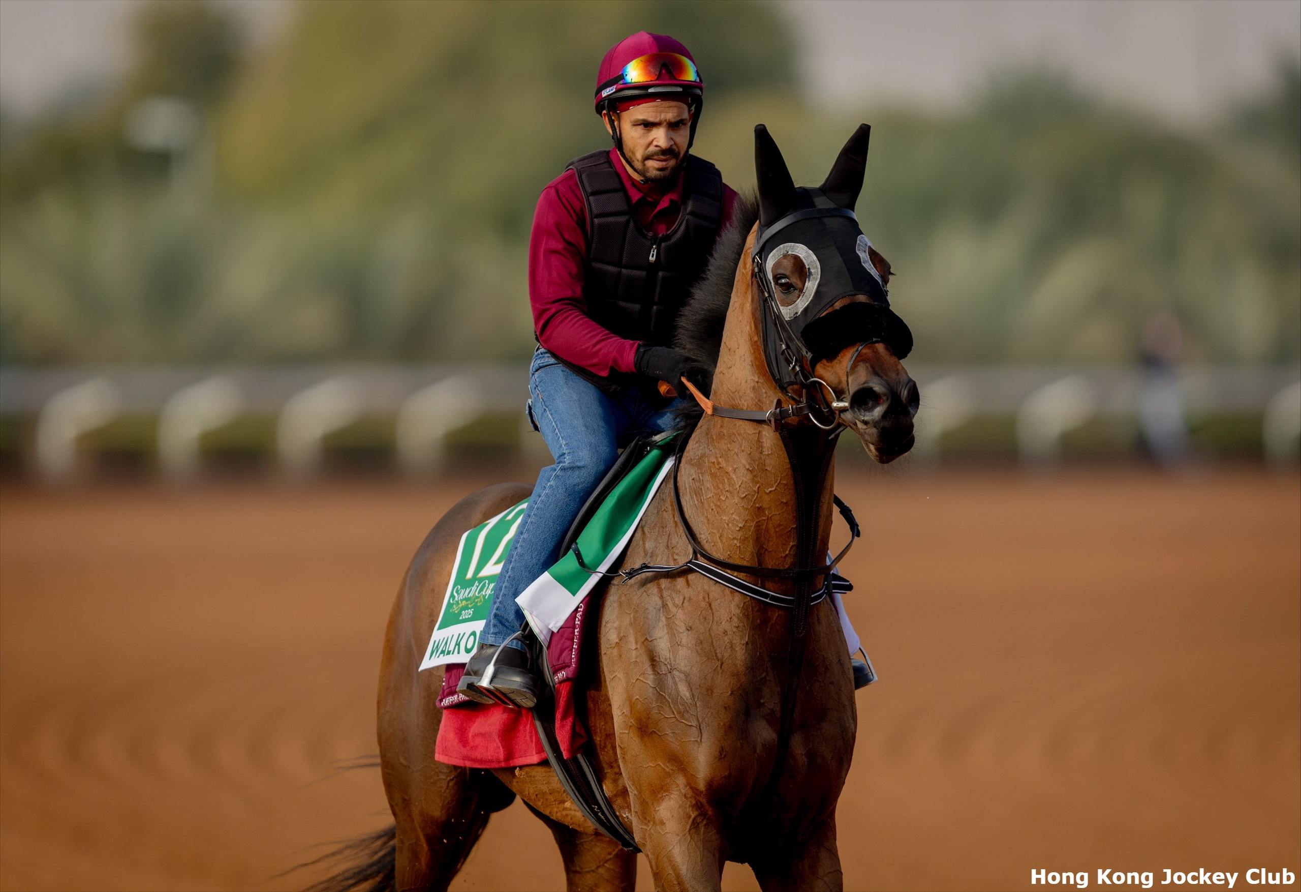 Seemar Eager to Face Romantic Warrior in Saudi Cup - Past The Wire