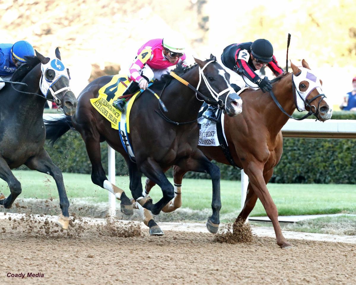 Alexander Helios Thrills in Razorback - Past The Wire