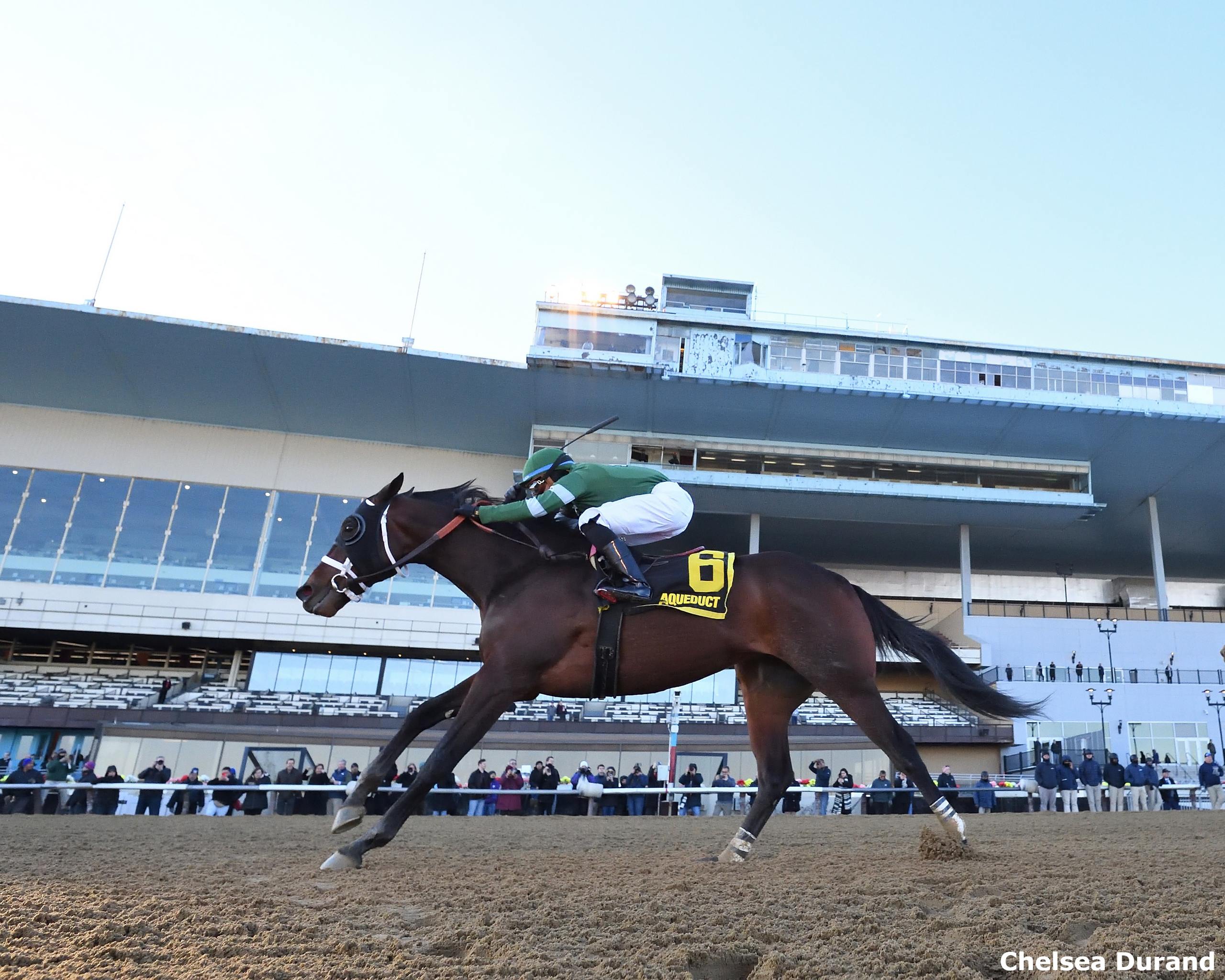 Captain Cook Conquers Withers - Past The Wire
