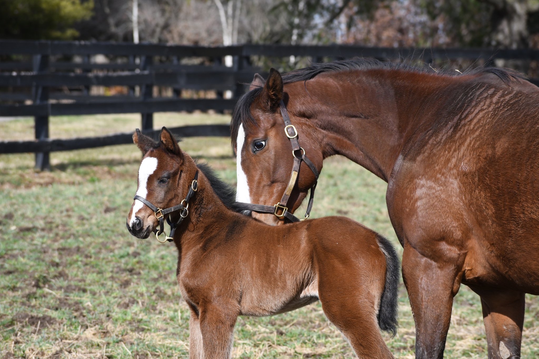 Get in the Name Game with AI - Past The Wire