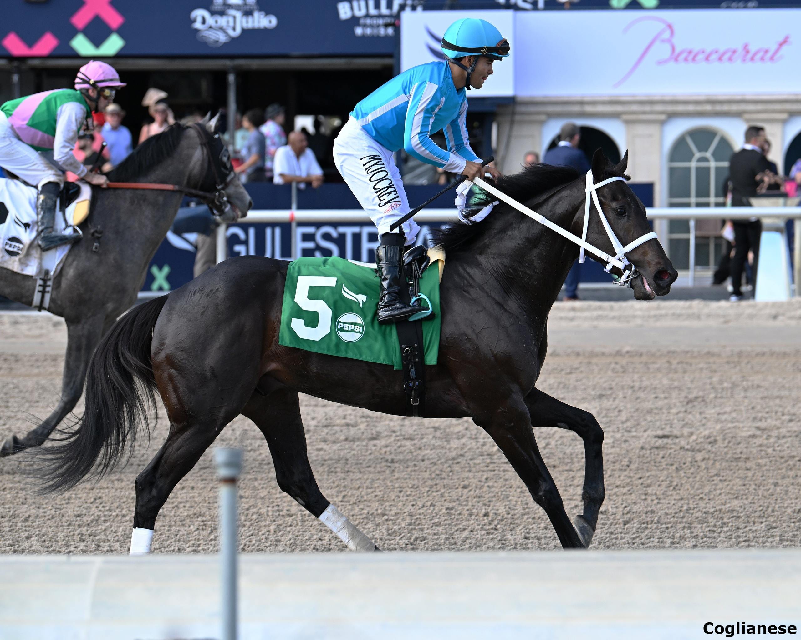 Victory Avenue Makes Return Sunday at Gulfstream Park - Past The Wire