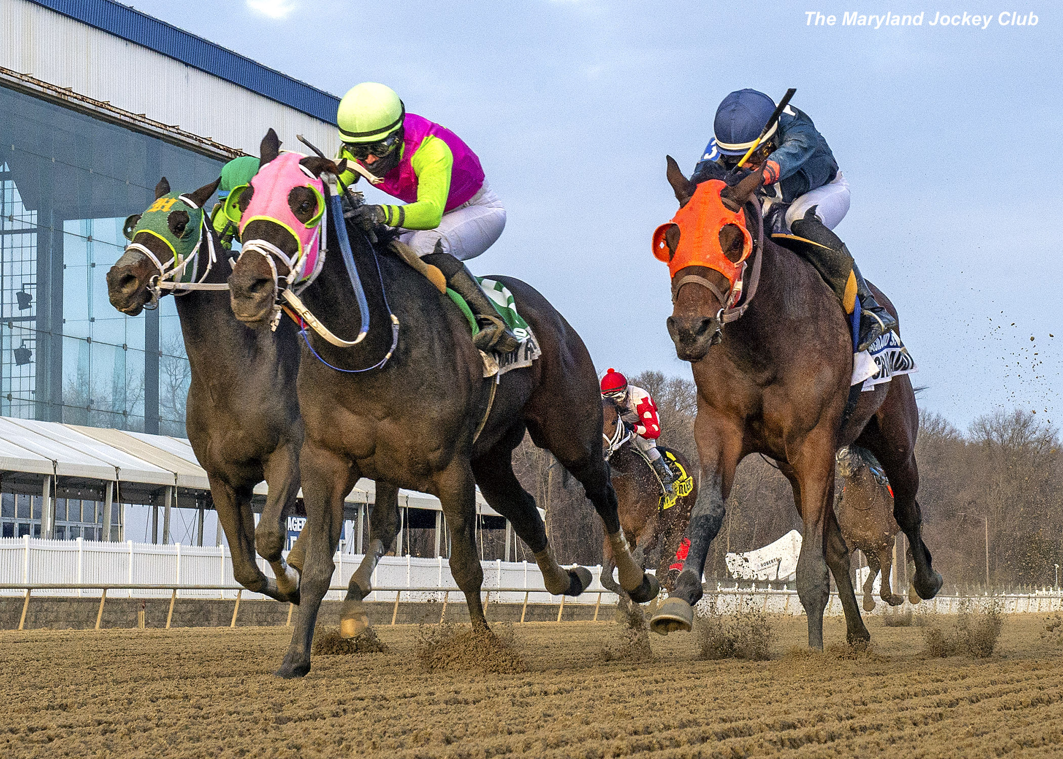 Spectacular Bid Top Trio Clash in Miracle Wood - Past The Wire