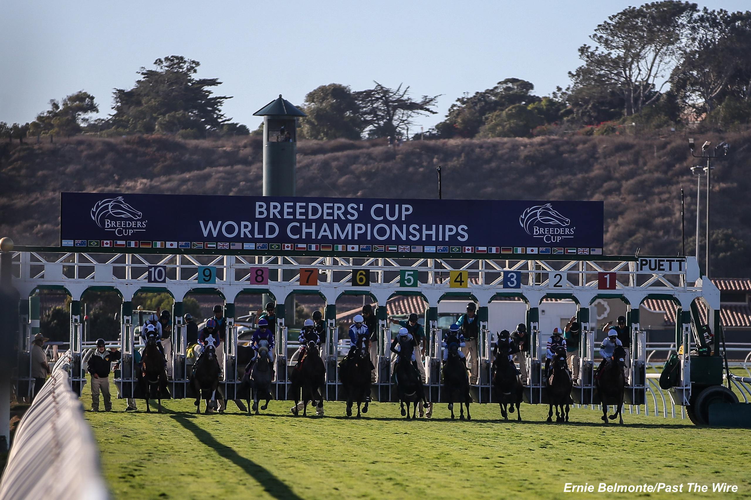 Wagering, Purses, Field Size and Starts Increase - Past The Wire