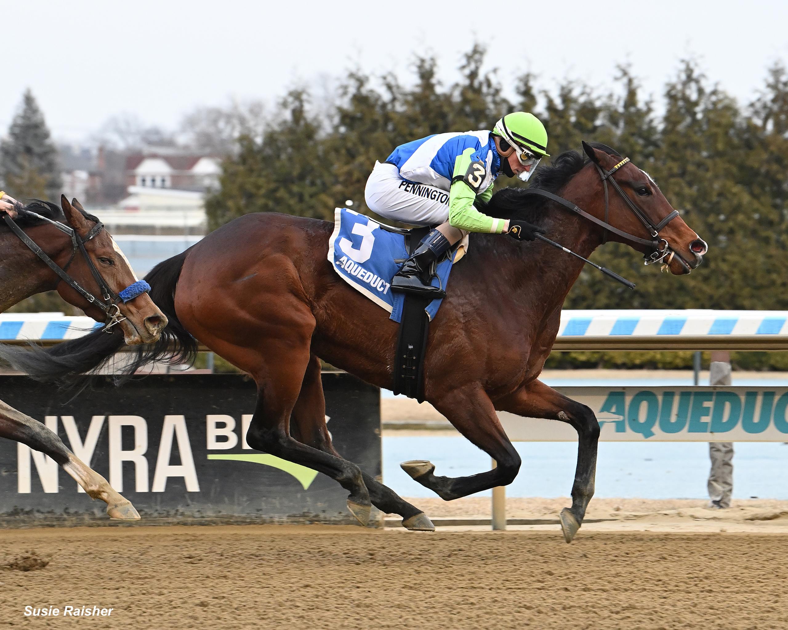 Landed Digs in for Victory in Broadway - Past The Wire