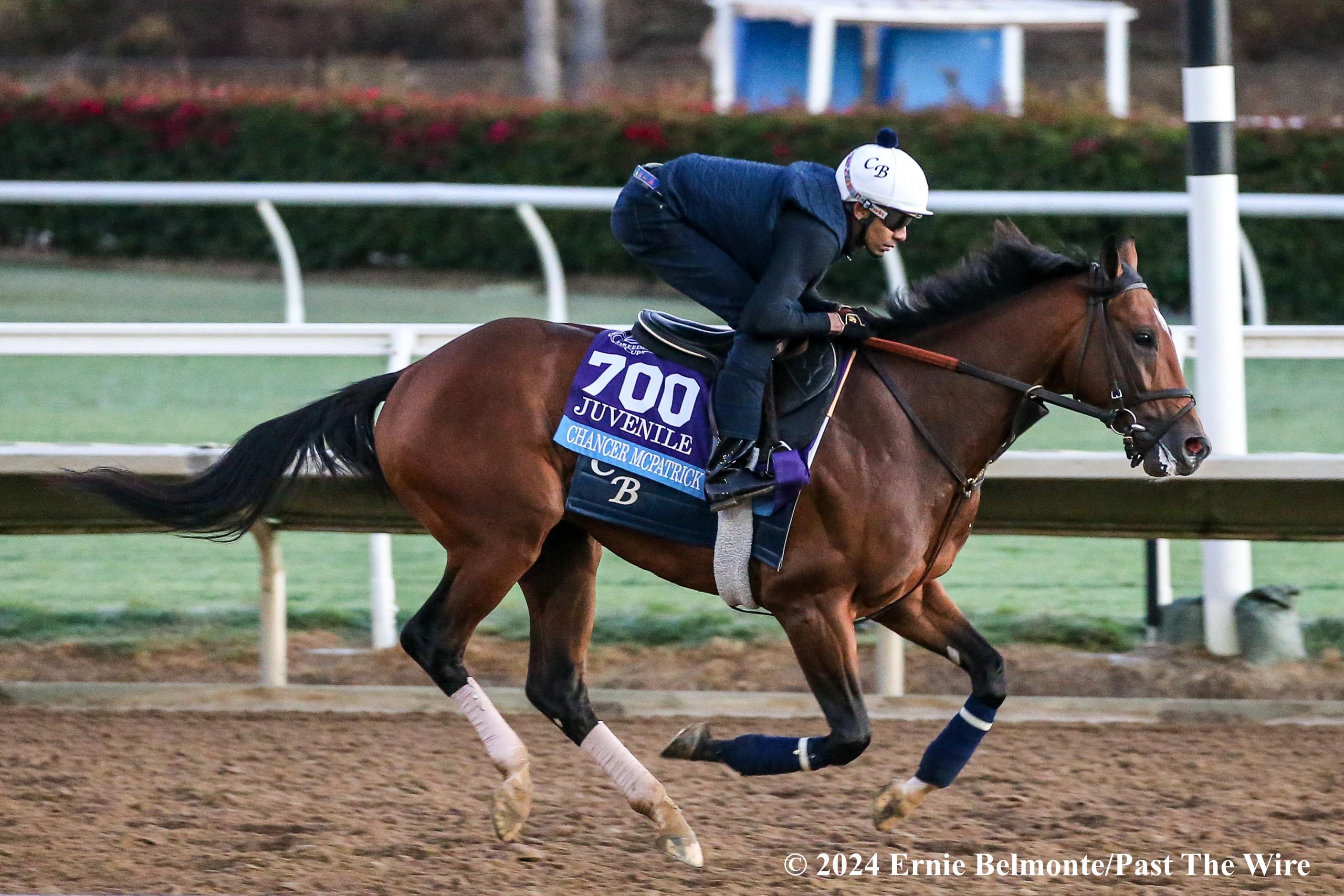 Geo Sette Full Card Precise Order Handicap - Past The Wire