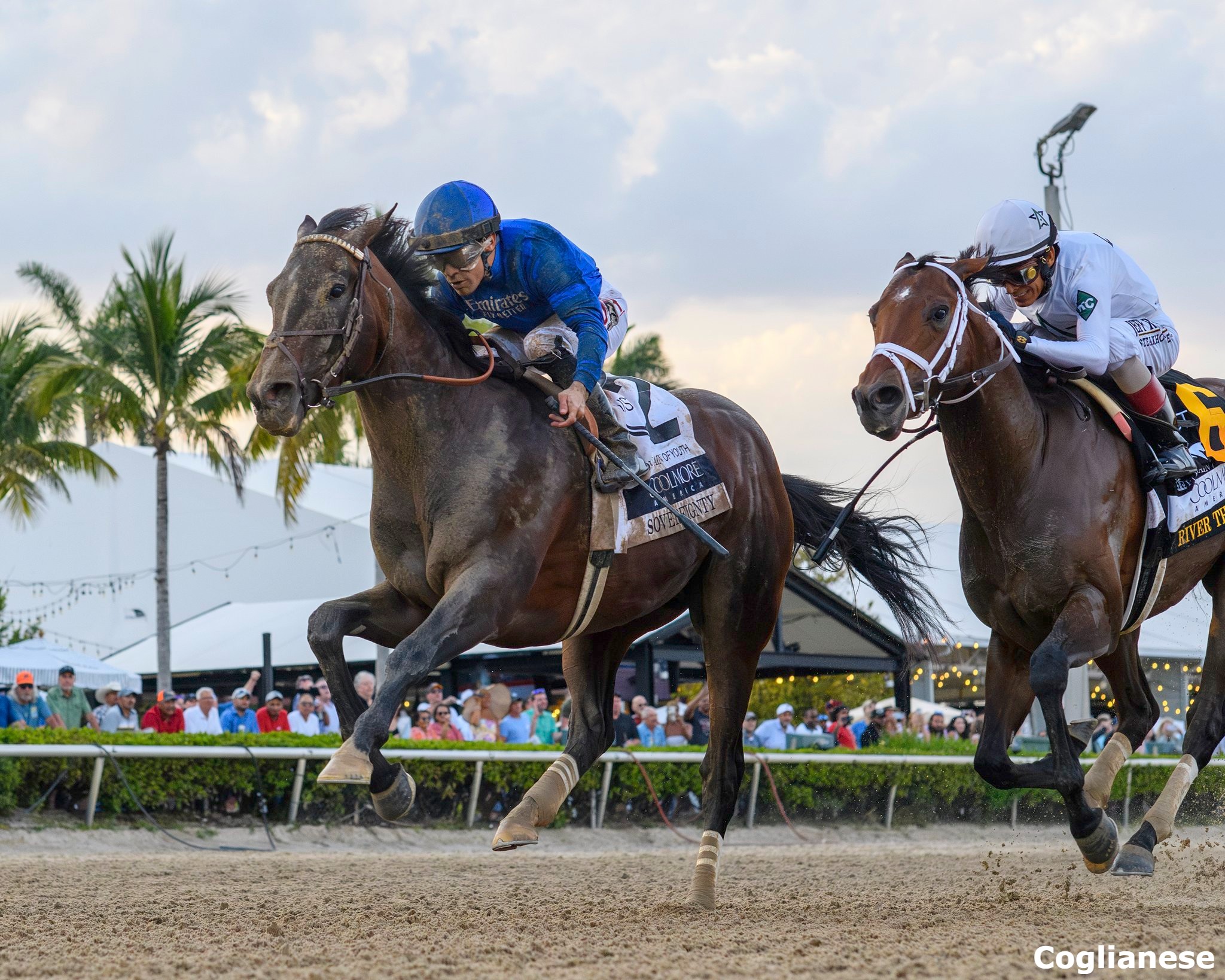 Sovereignty Headlines G1 Florida Derby - Past The Wire