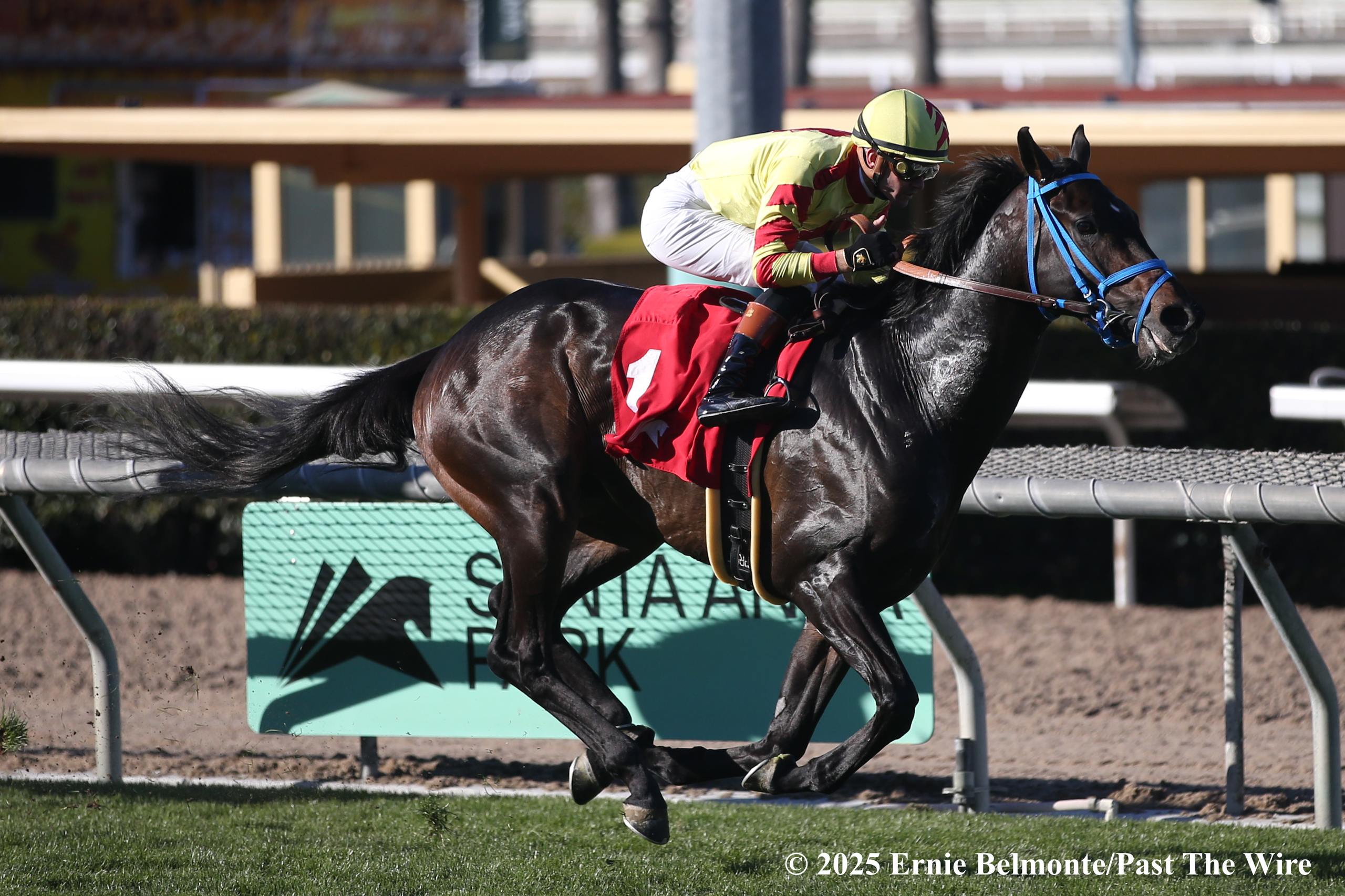 Freedom’s Not Free Earns First Stakes Win in Pasadena - Past The Wire