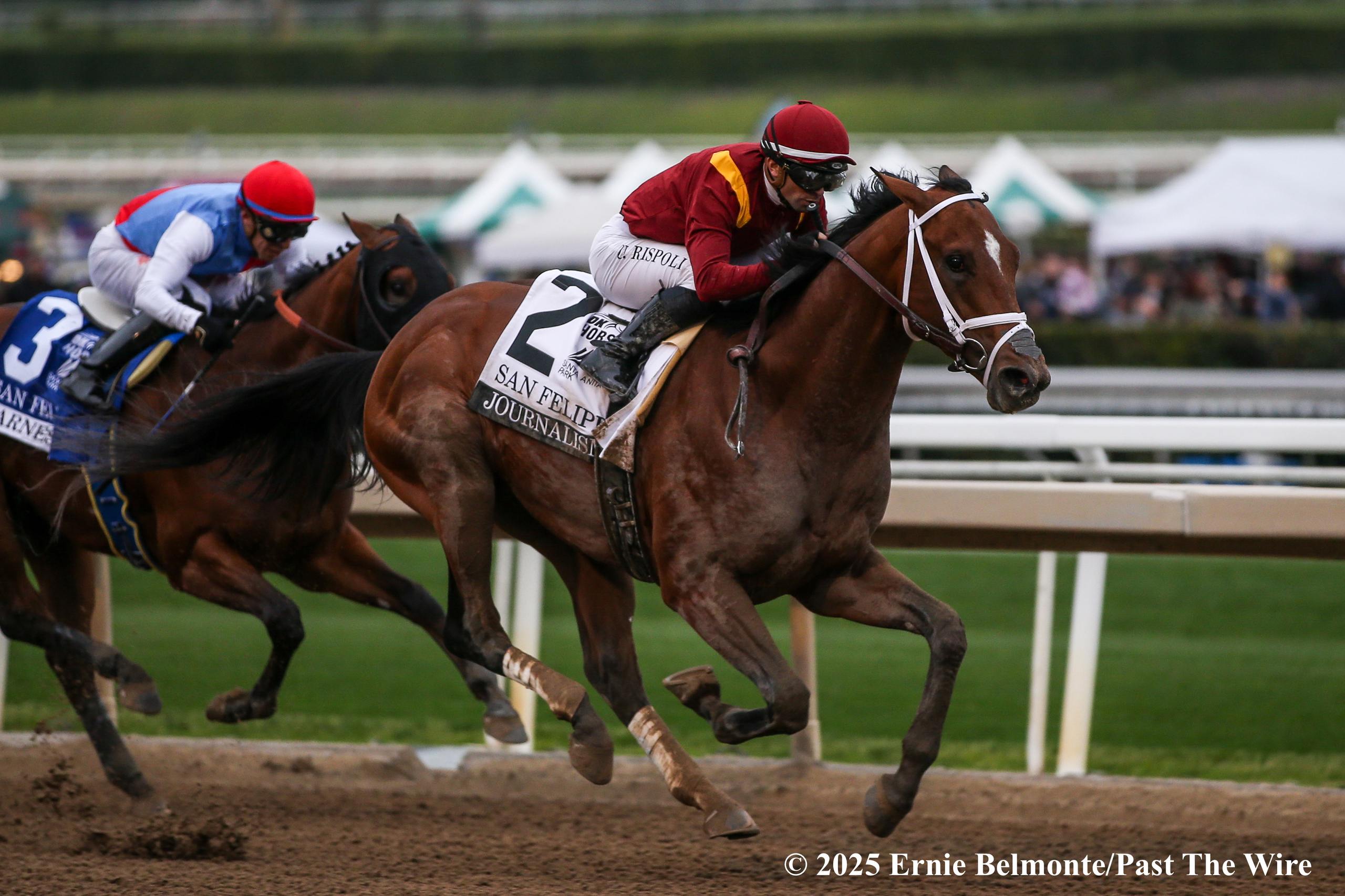 Journalism, Sovereignty Top Derby Contenders - Past The Wire