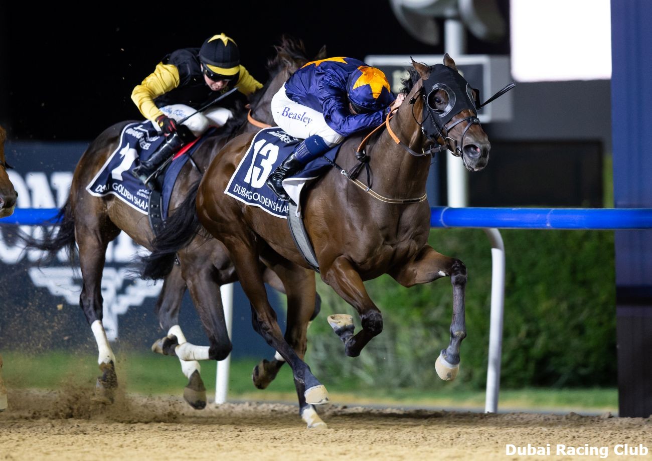 Diminutive Dynamo, Dark Saffron Dispatches Elders in Dubai Golden ...