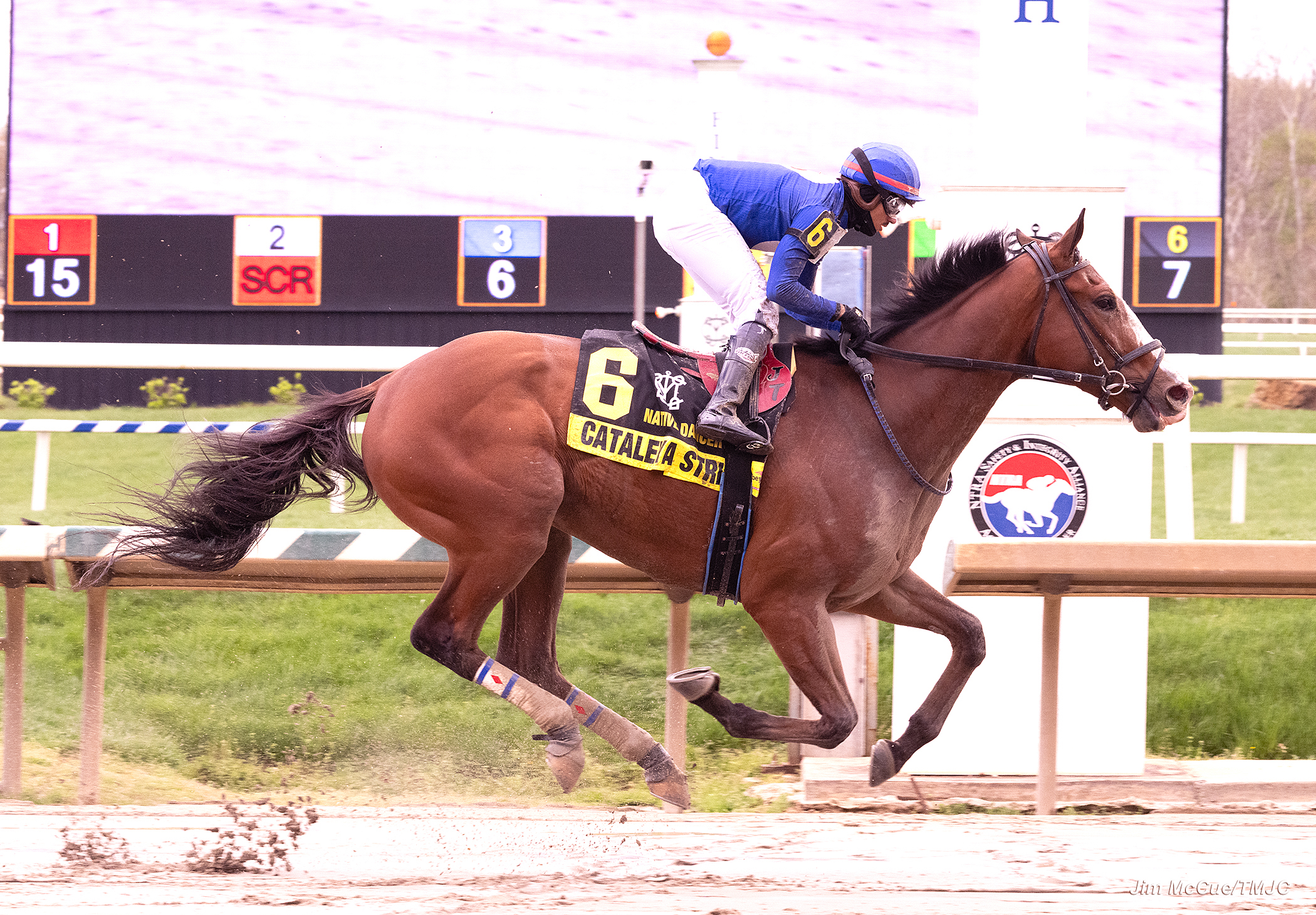 Cataleya Strike Makes it Rain in Native Dancer - Past The Wire