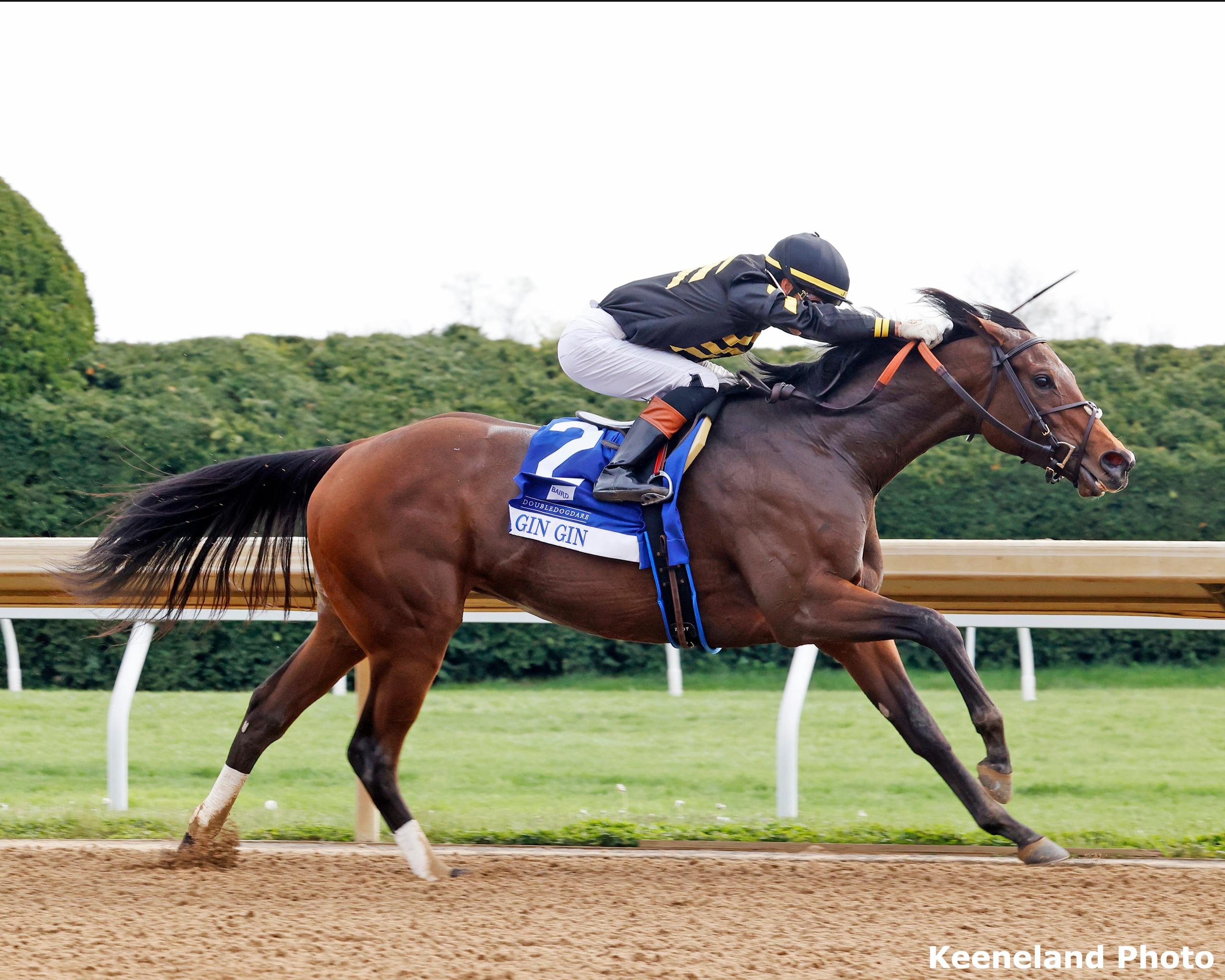 Gin Gin Scores 38-1 Upset in G3 Doubledogdare - Past The Wire
