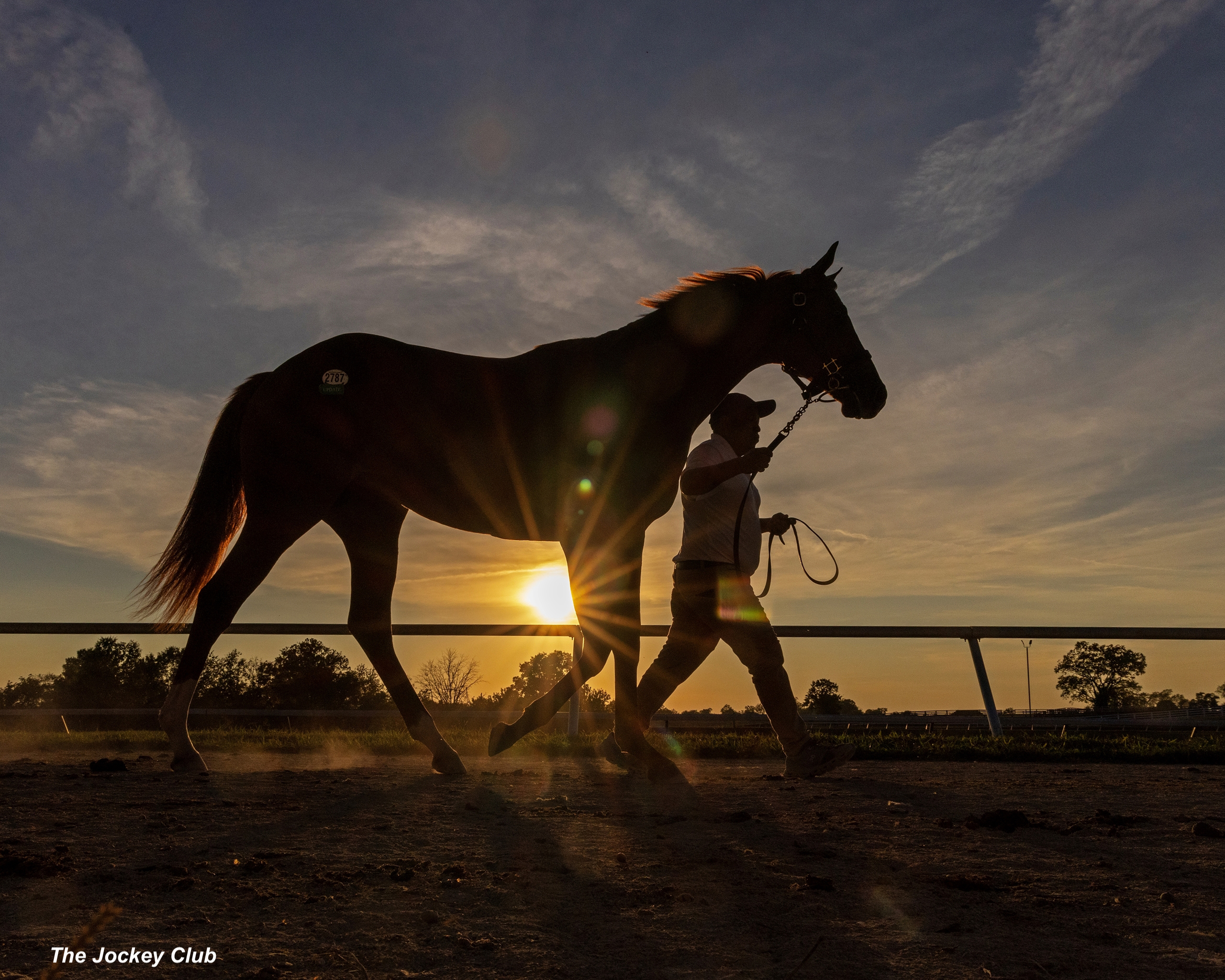 $2.7M, 26 Projects, 17 Universities, Many Horses - Past The Wire