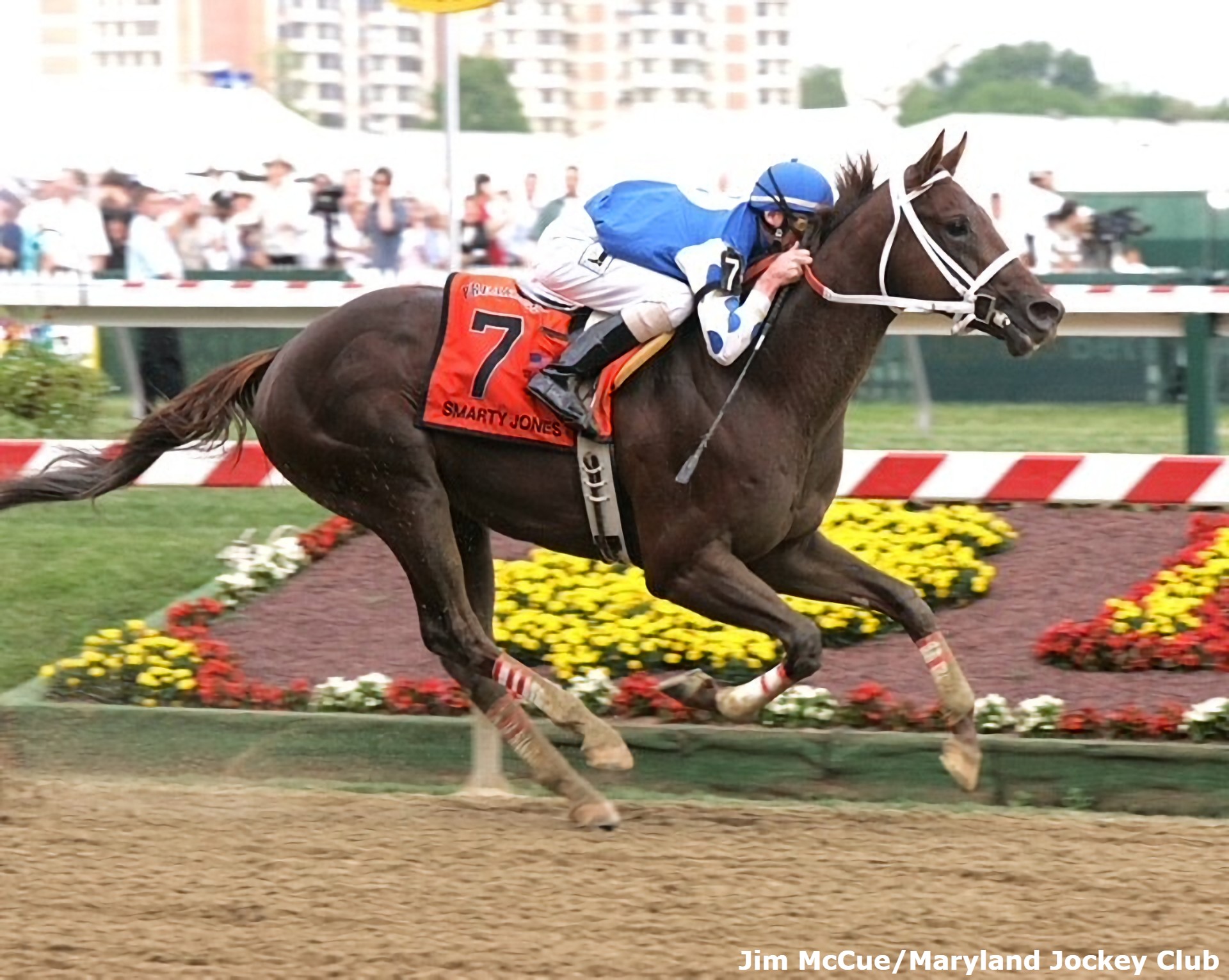 Smarty Jones Inducted Into Racing Hall of Fame - Past The Wire