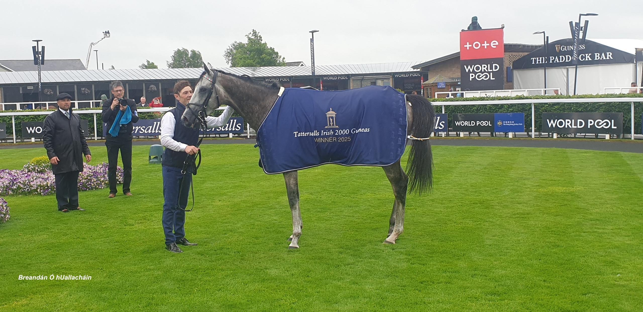 Juddmonte’s Field Of Gold Wins Tattersalls Irish 2000 Guineas - Past ...