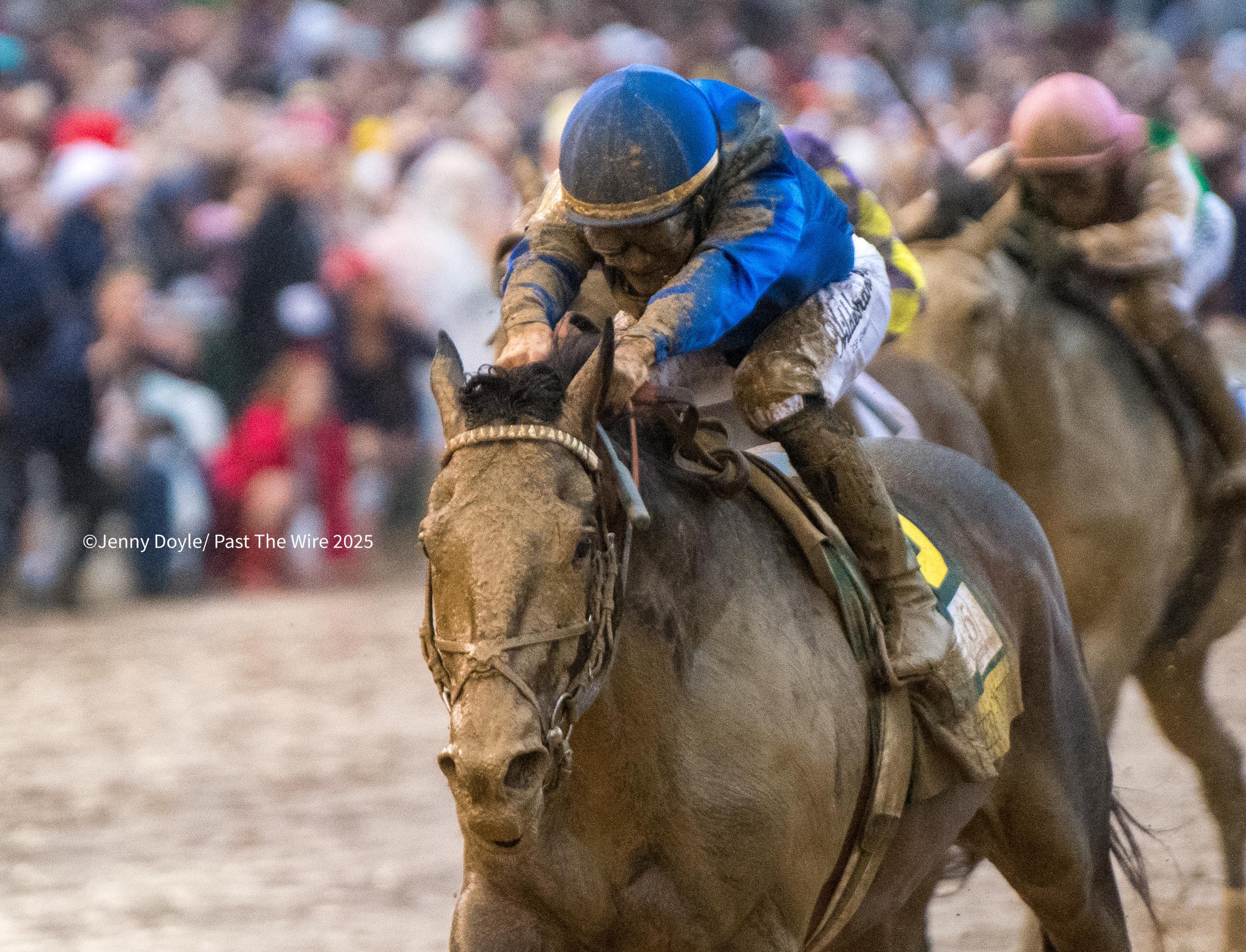 Why the “Best” Horse Doesn’t Always Wear the Roses - Past The Wire