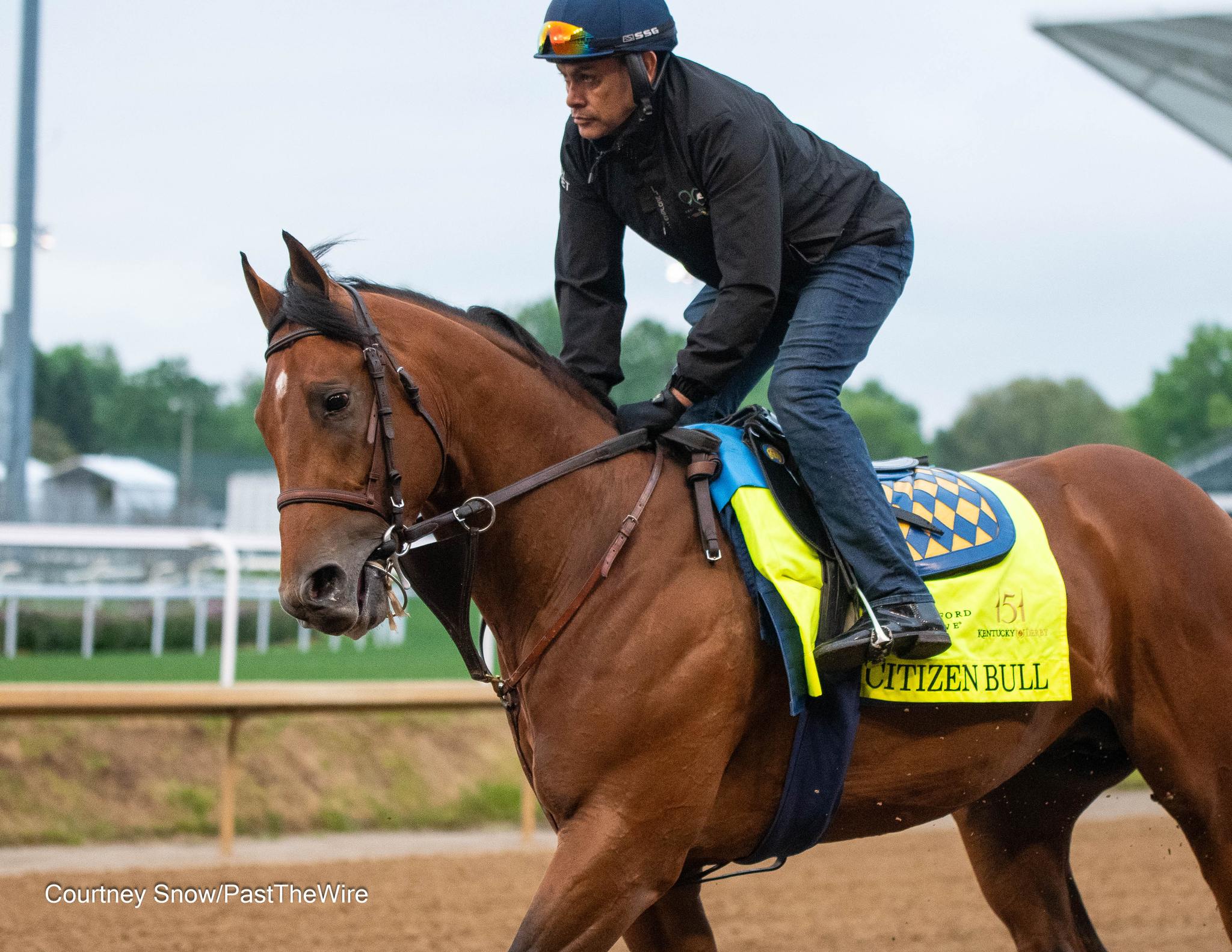 151st Kentucky Derby, Oaks Offer Intriguing Storylines - Past The Wire