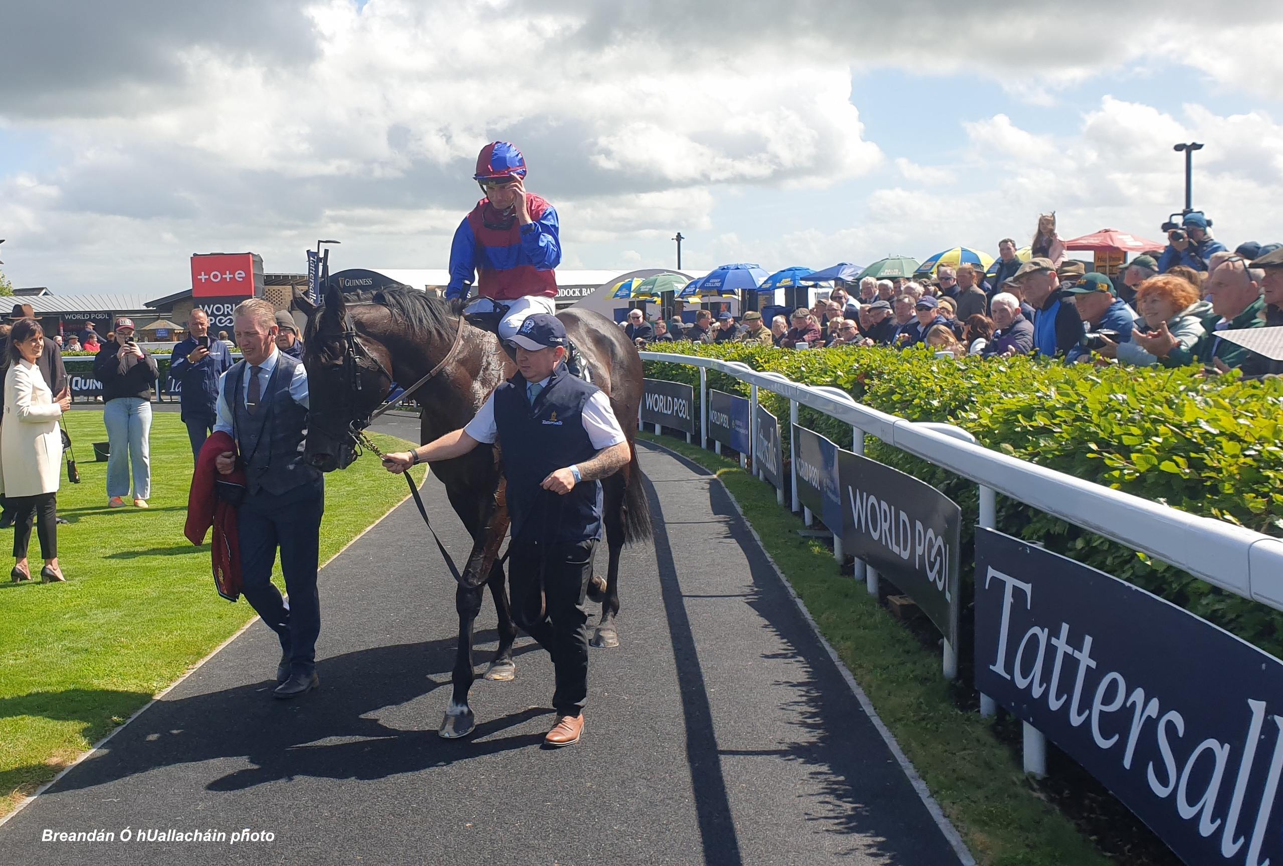 Classy Los Angeles Claims G1 Tattersalls Gold Cup - Past The Wire