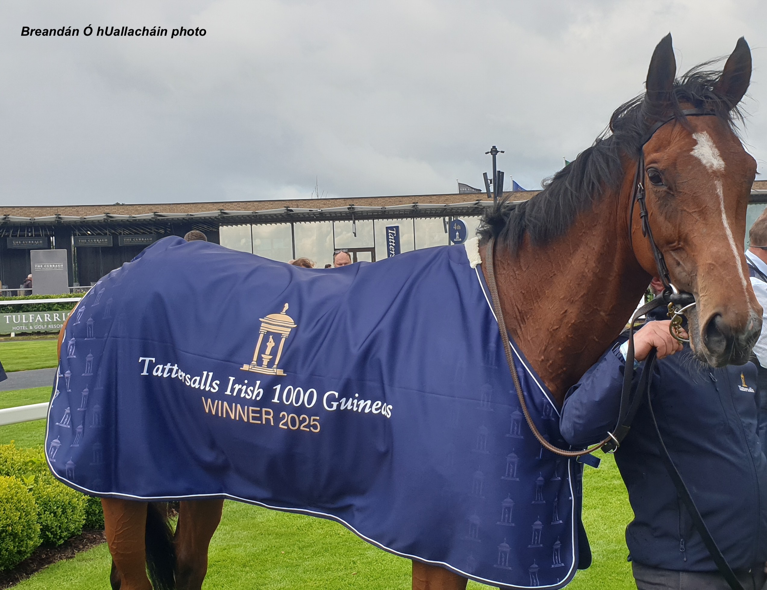 Lake Victoria Gives O’Brien 11th Irish 1000 Guineas - Past The Wire